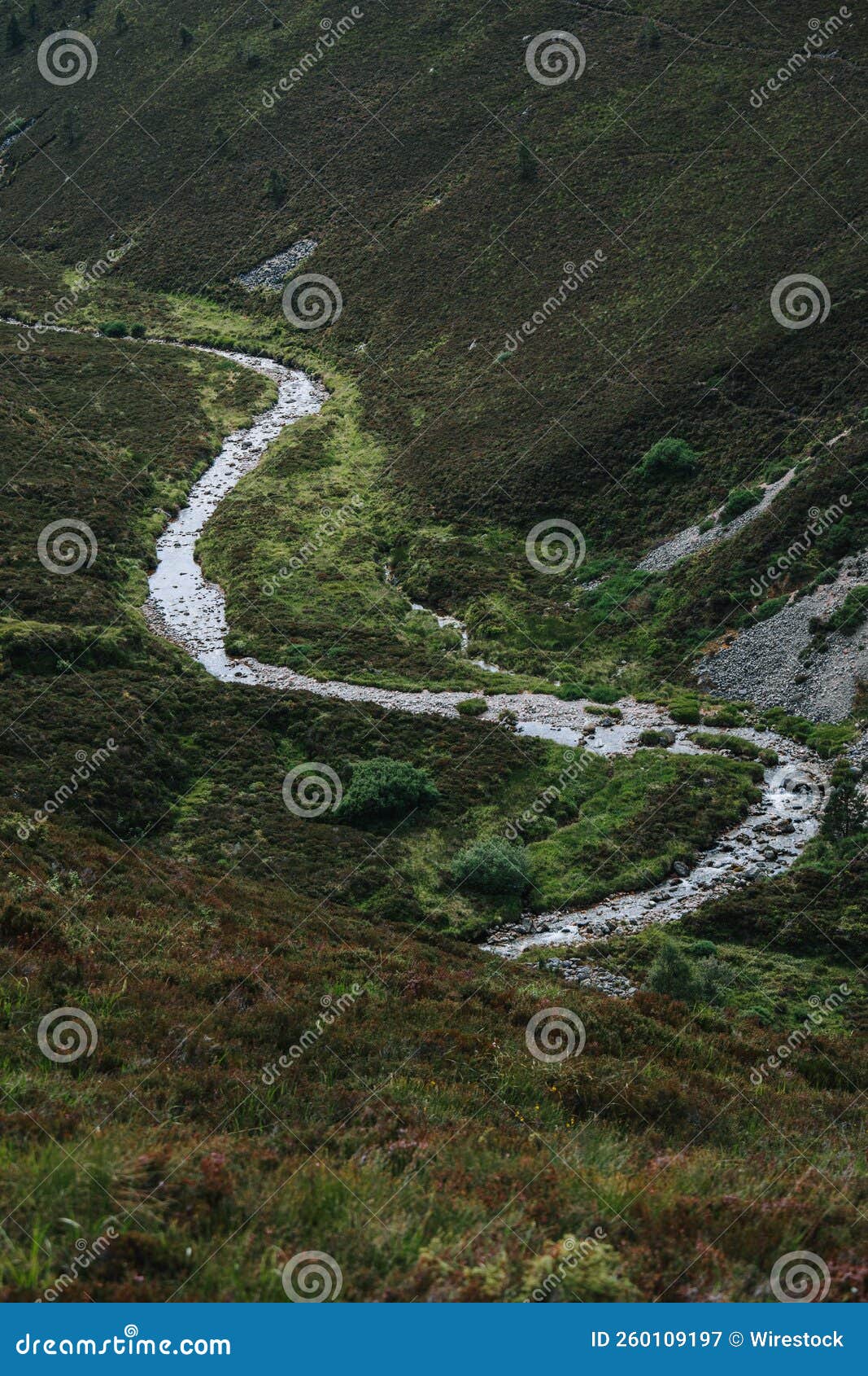 Beautiful Green Landscape of the Hillside with a River, in a Vertical ...