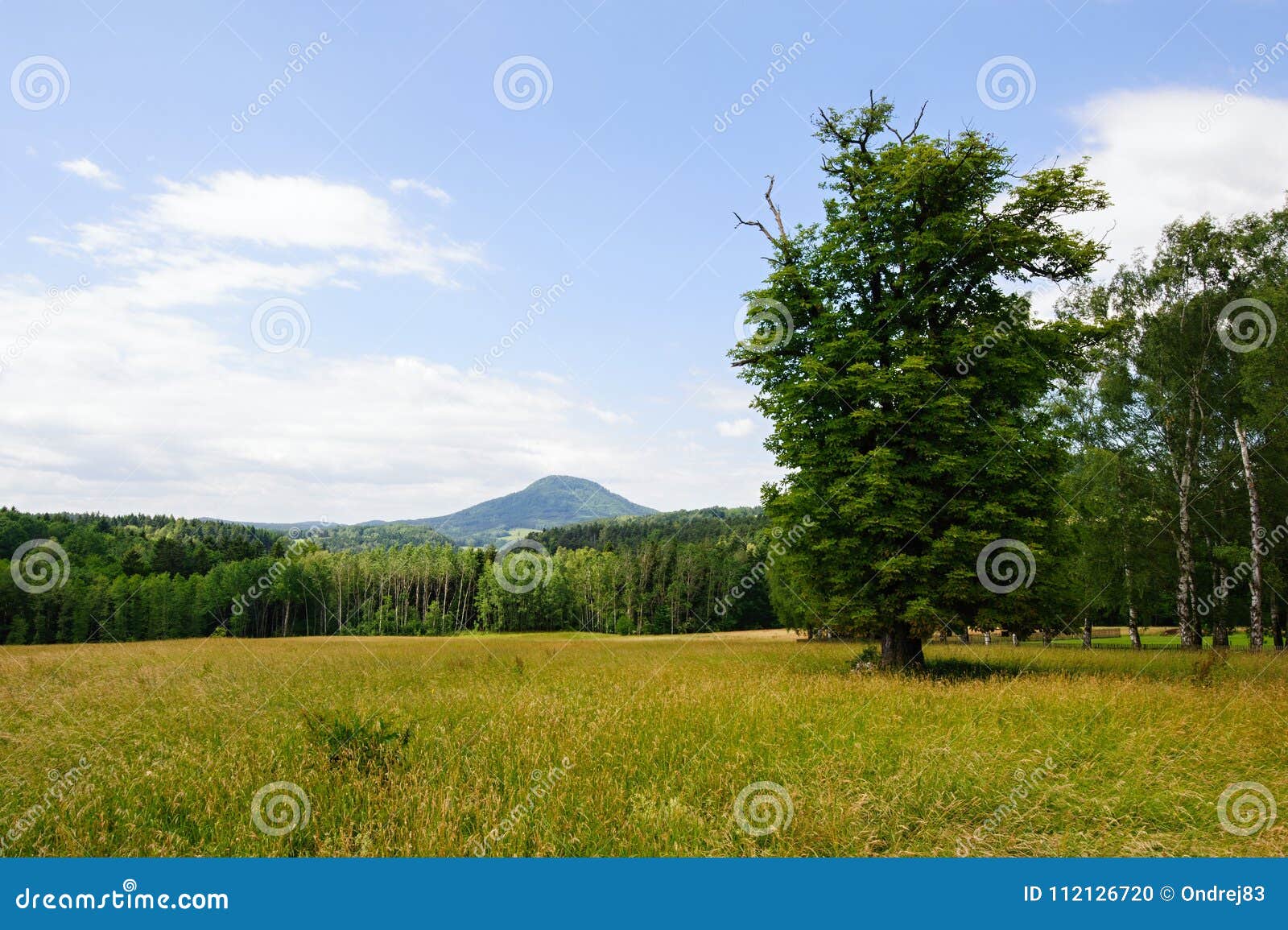 Beautiful Green Landscape with Meadow Stock Photo - Image of outdoors ...