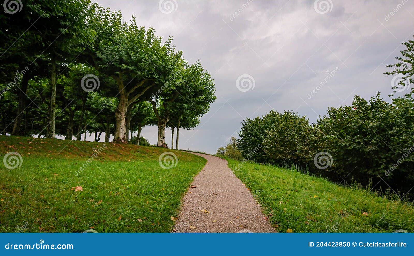 Beautiful Green Landscape with Trees and Grass and Gray Sky in ...