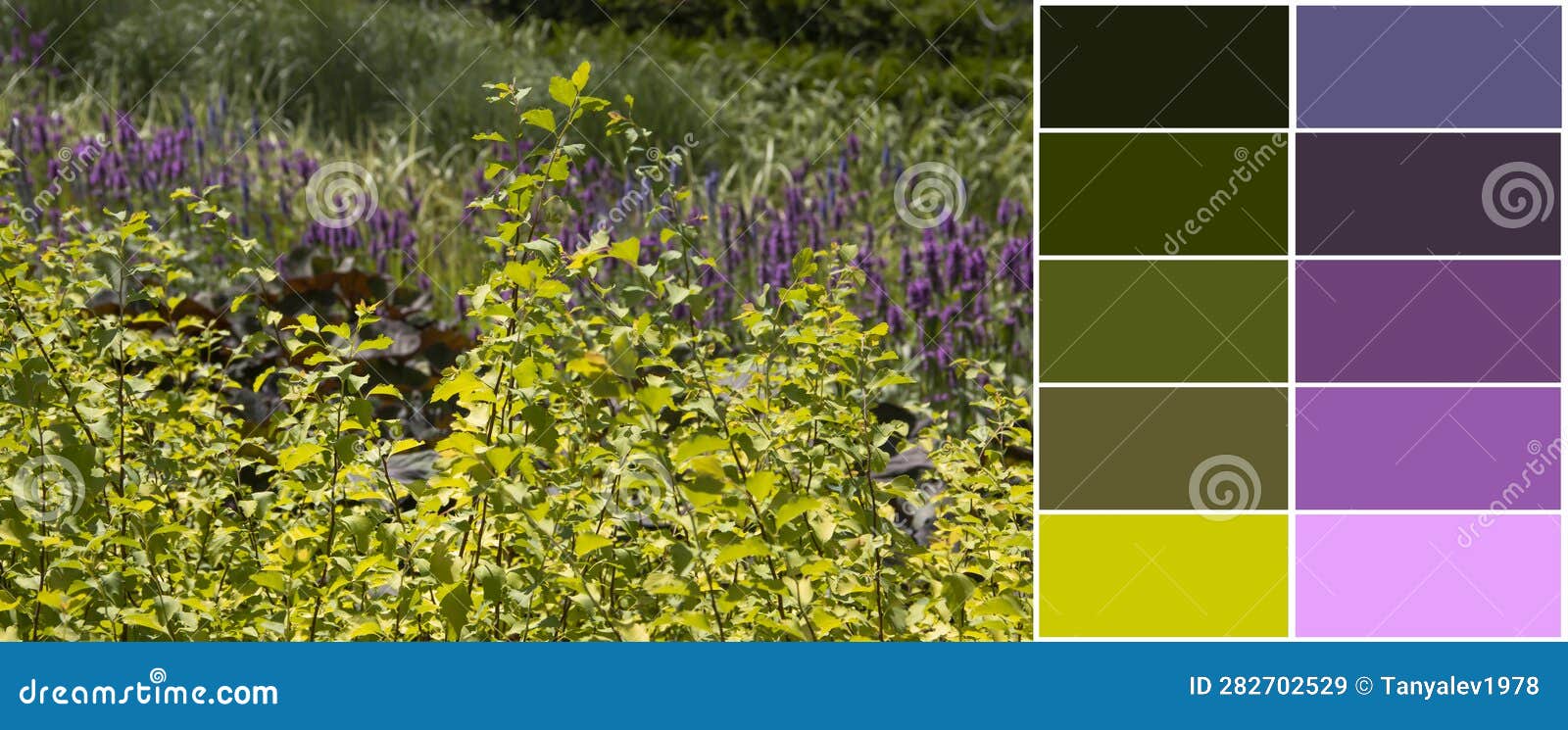 Beautiful Green Lawn, Color Swatch Stock Image - Image of floral ...