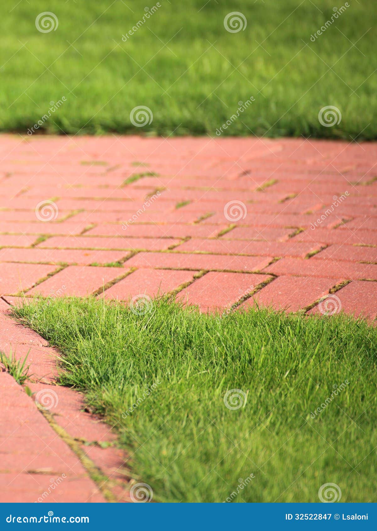 Beautiful Green Lawns Perfectly Cut Background Stock Image - Image of ...