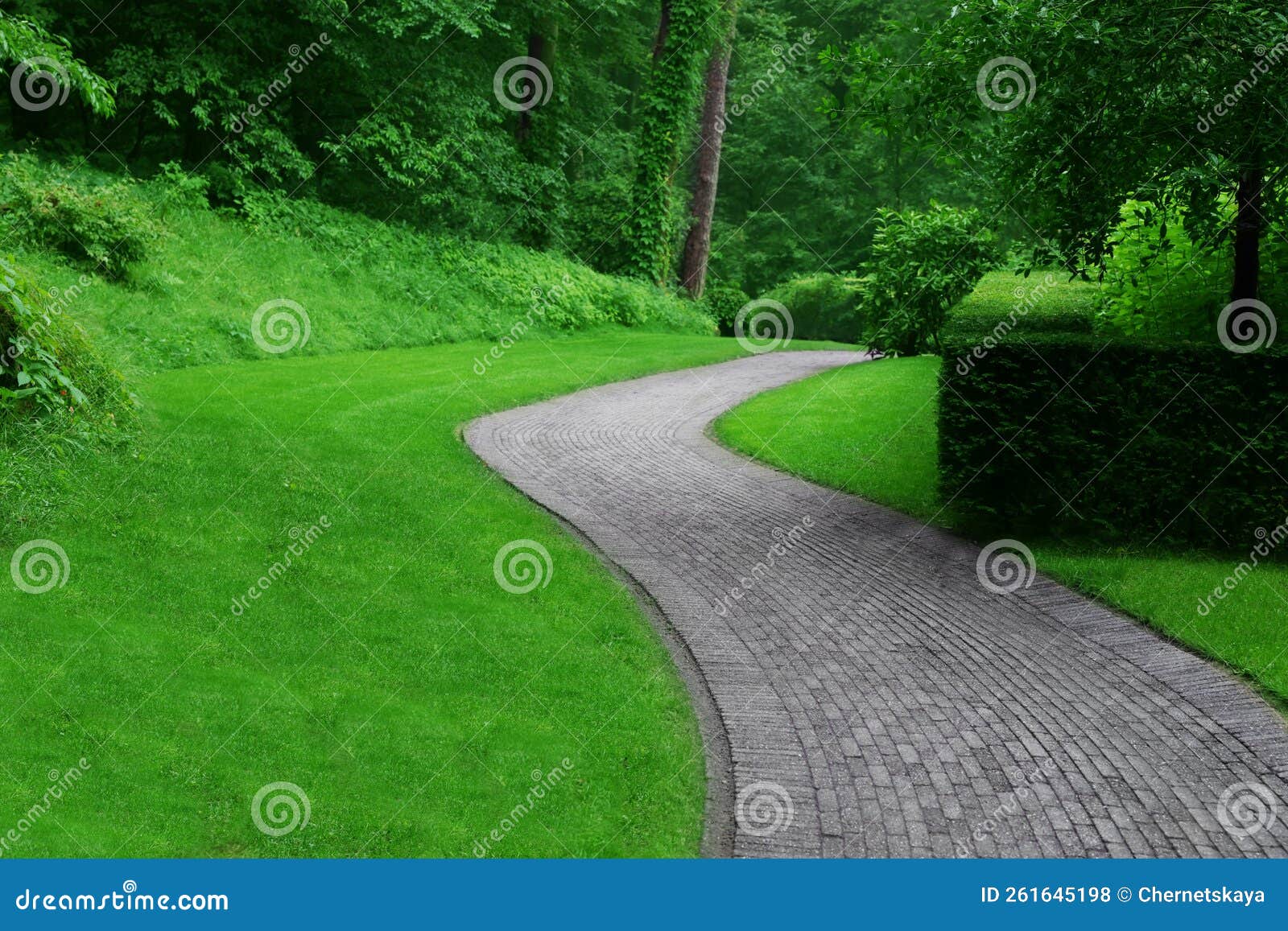 Beautiful Green Park with Paved Pathway. Landscape Design Stock Photo ...