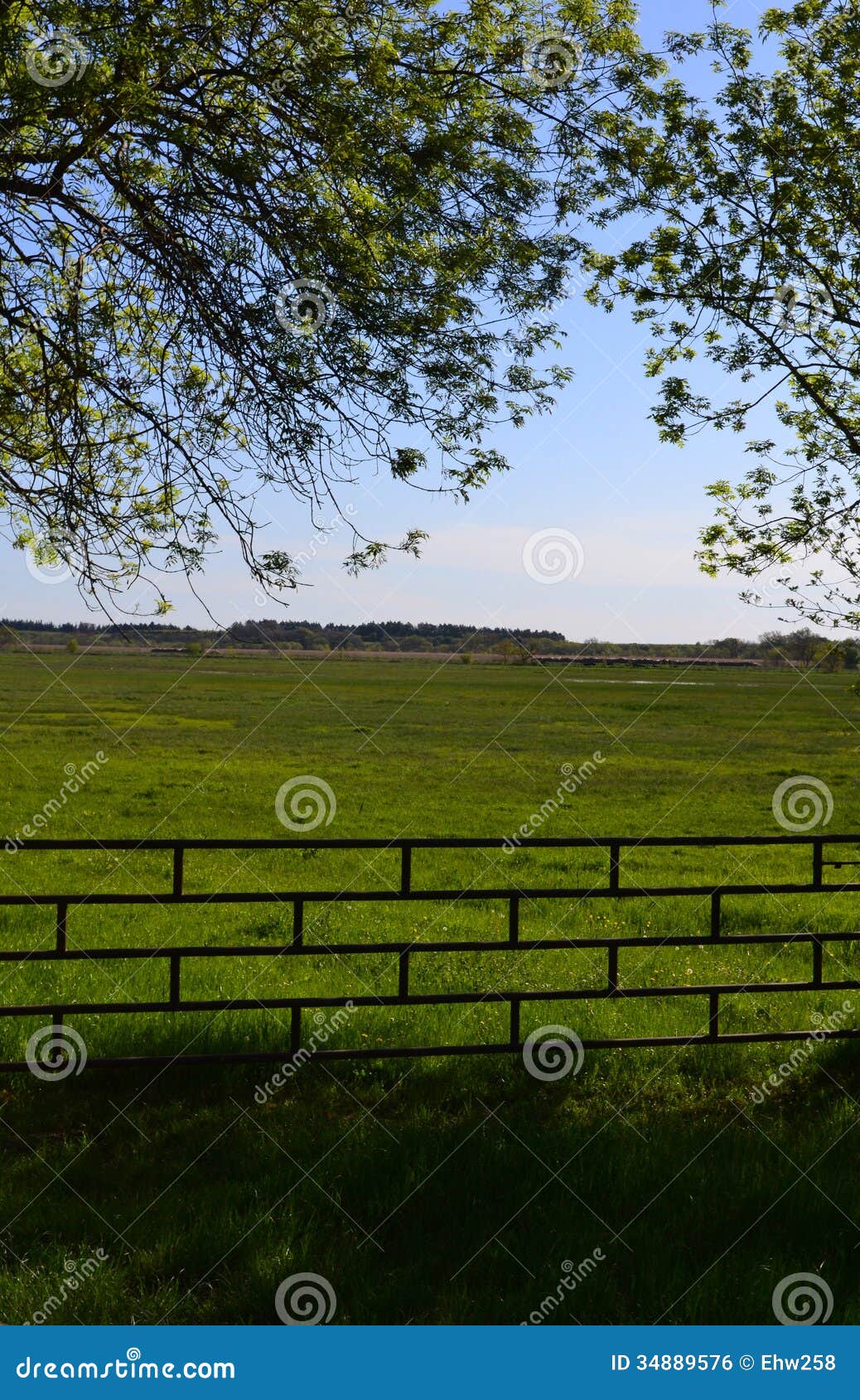 Fenced Green Pasture stock photo. Image of vibrant, pretty - 34889576