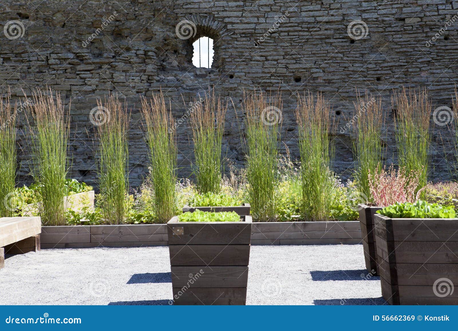 Beautiful Green Plants at an Ancient Fortification. Stock Image - Image ...