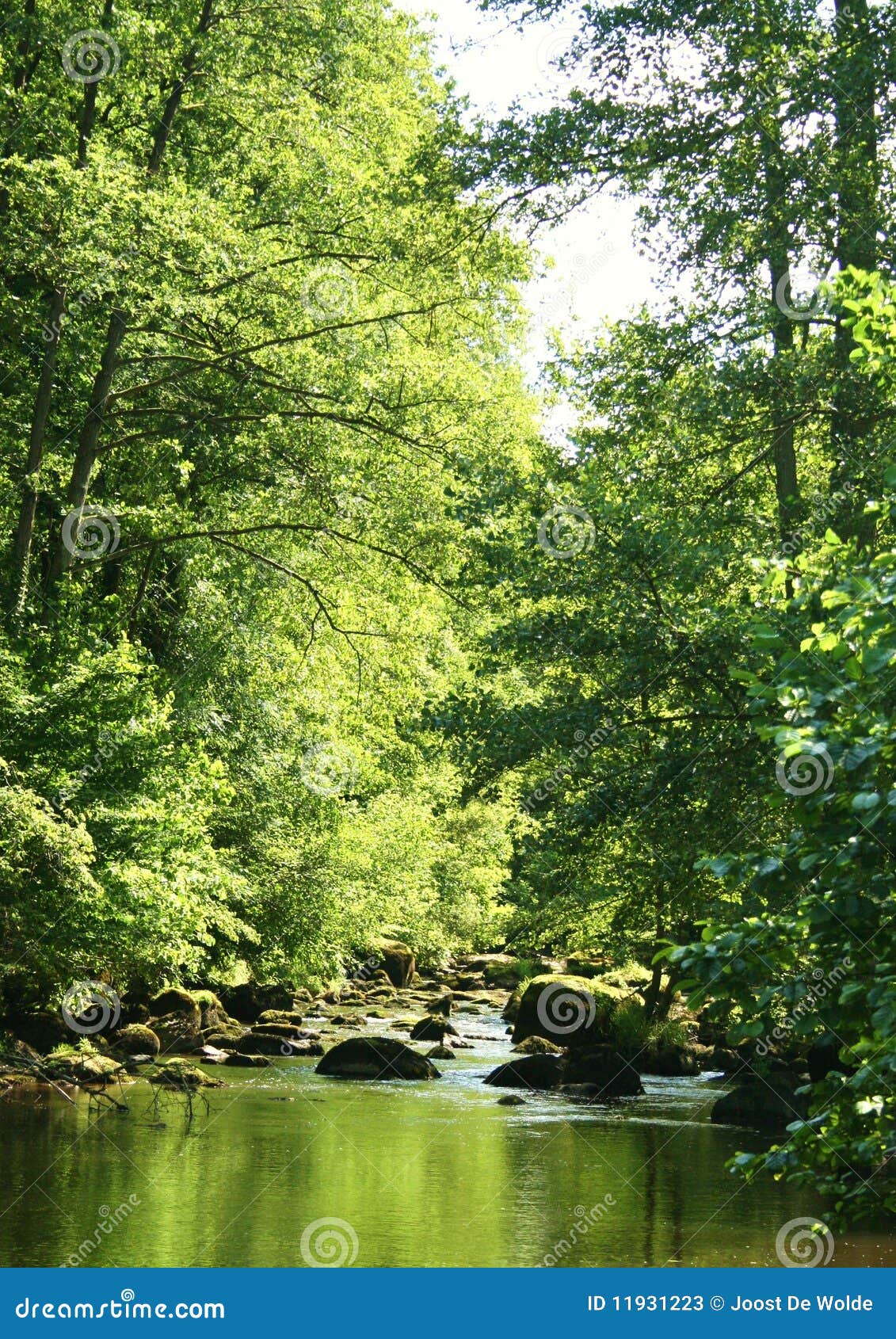 Beautiful Green River stock image. Image of orne, normandy - 11931223