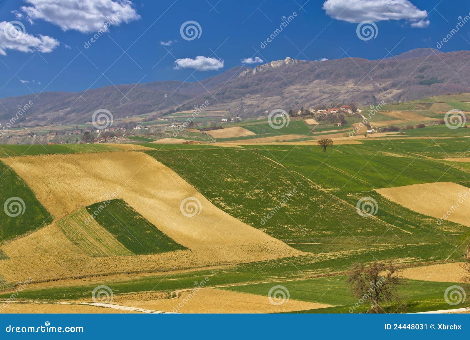 Beautiful Green Scenery - Fields and Mountain Stock Image - Image of ...