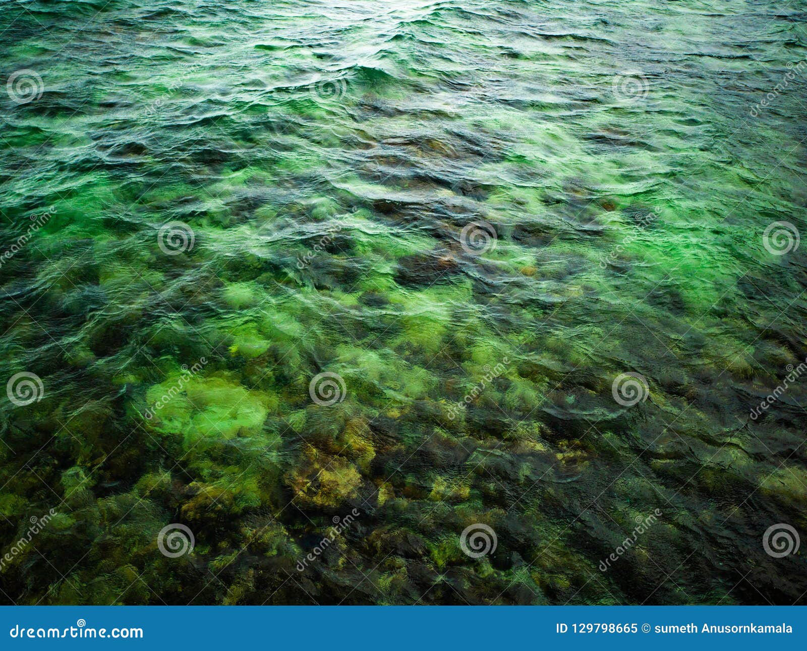 Beautiful Green Sea Surface on the Ocean Stock Image - Image of dark ...