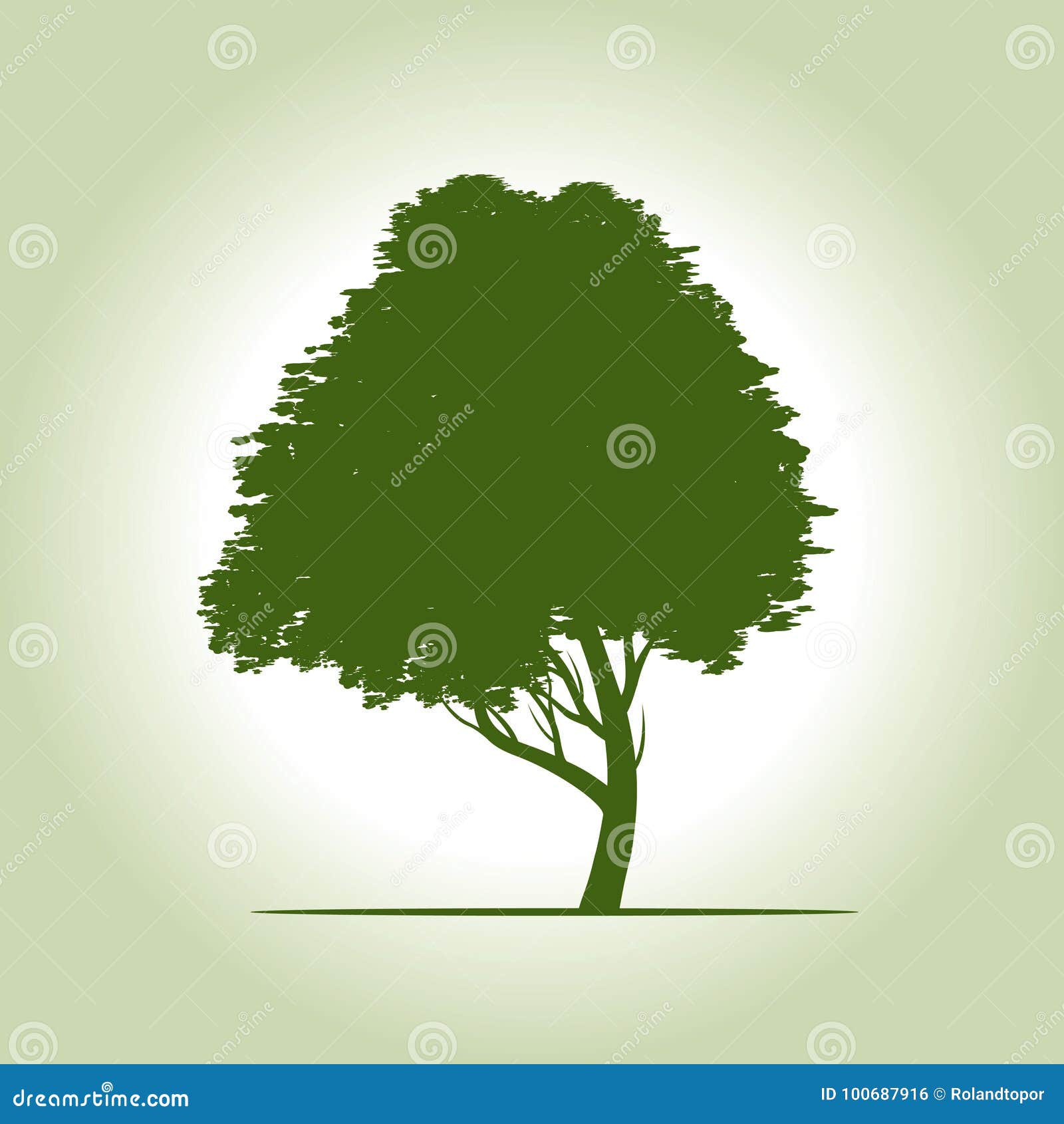 Beautiful Green Tree with Leaves. Vector Illustration. Stock Vector ...