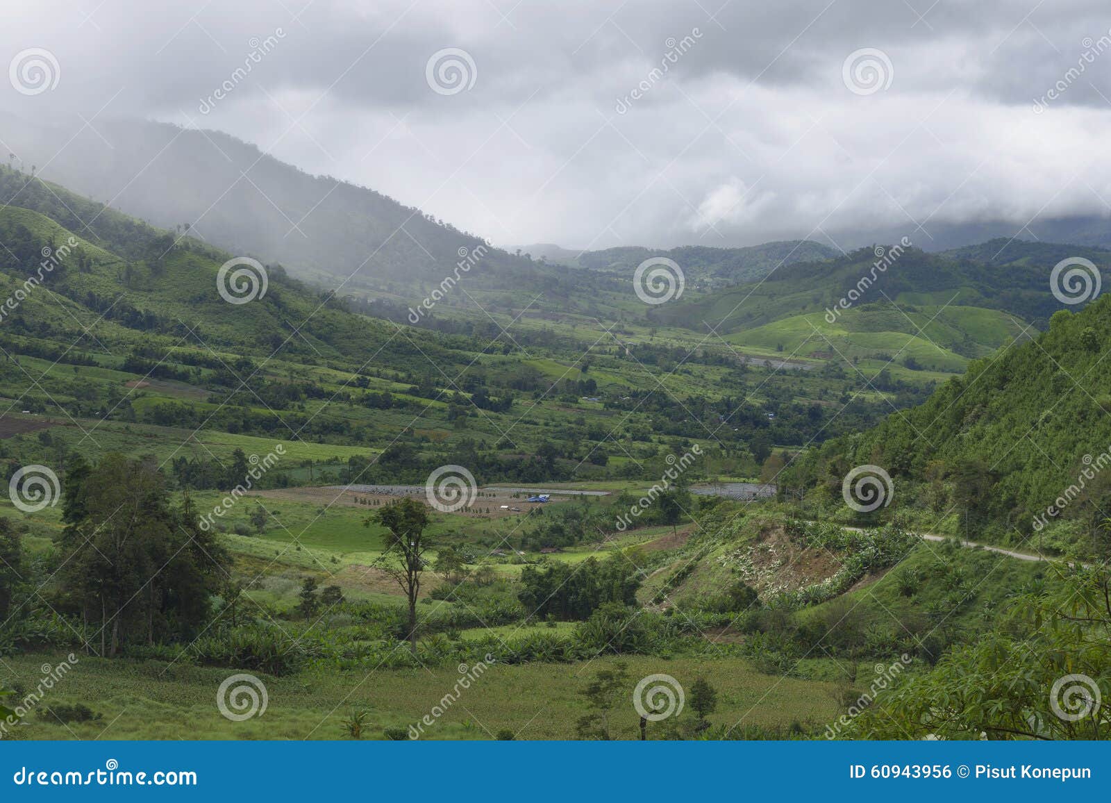Beautiful green valley stock photo. Image of farming - 60943956