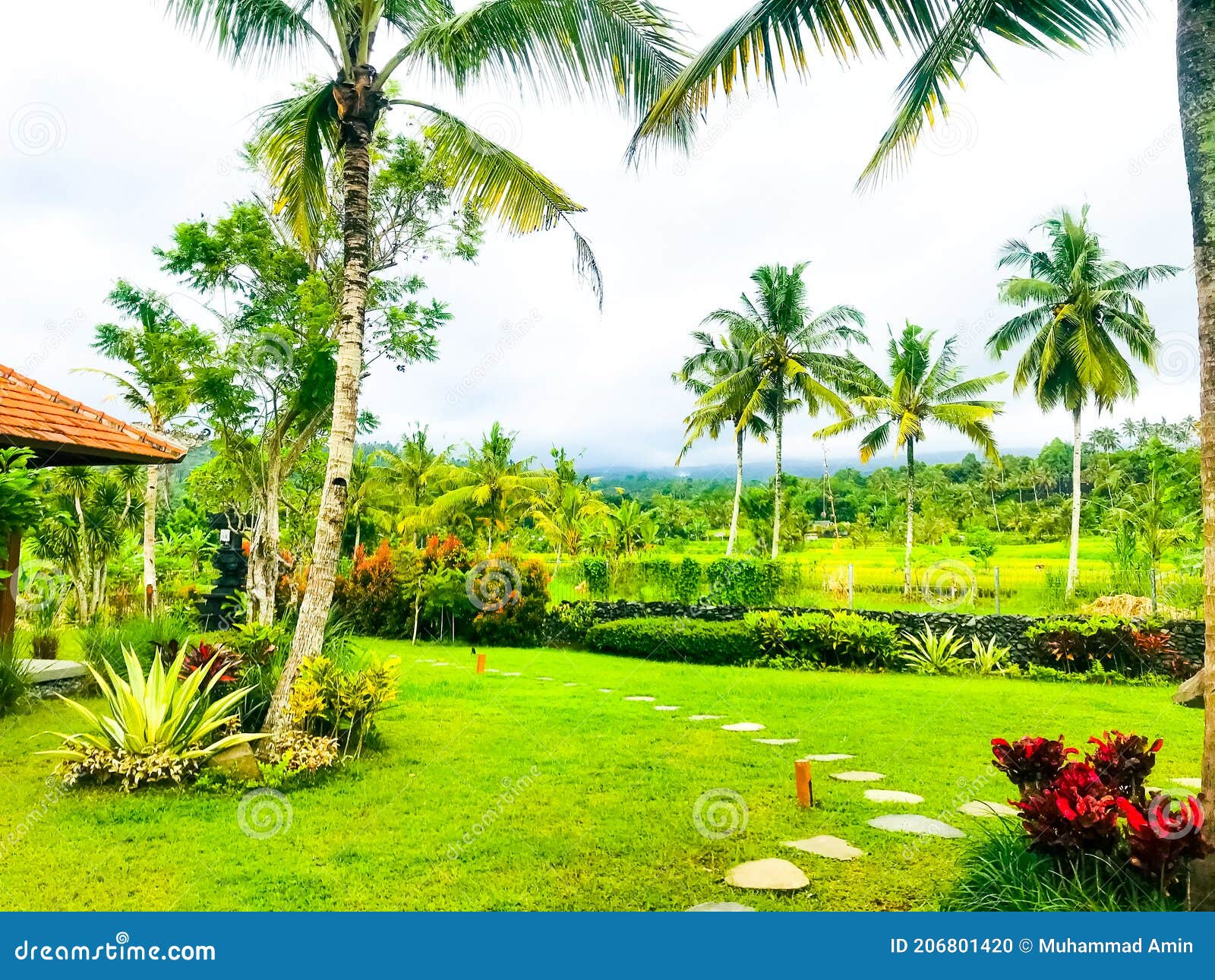 Beautiful Green View in Bali, Indonesia Stock Photo - Image of ...