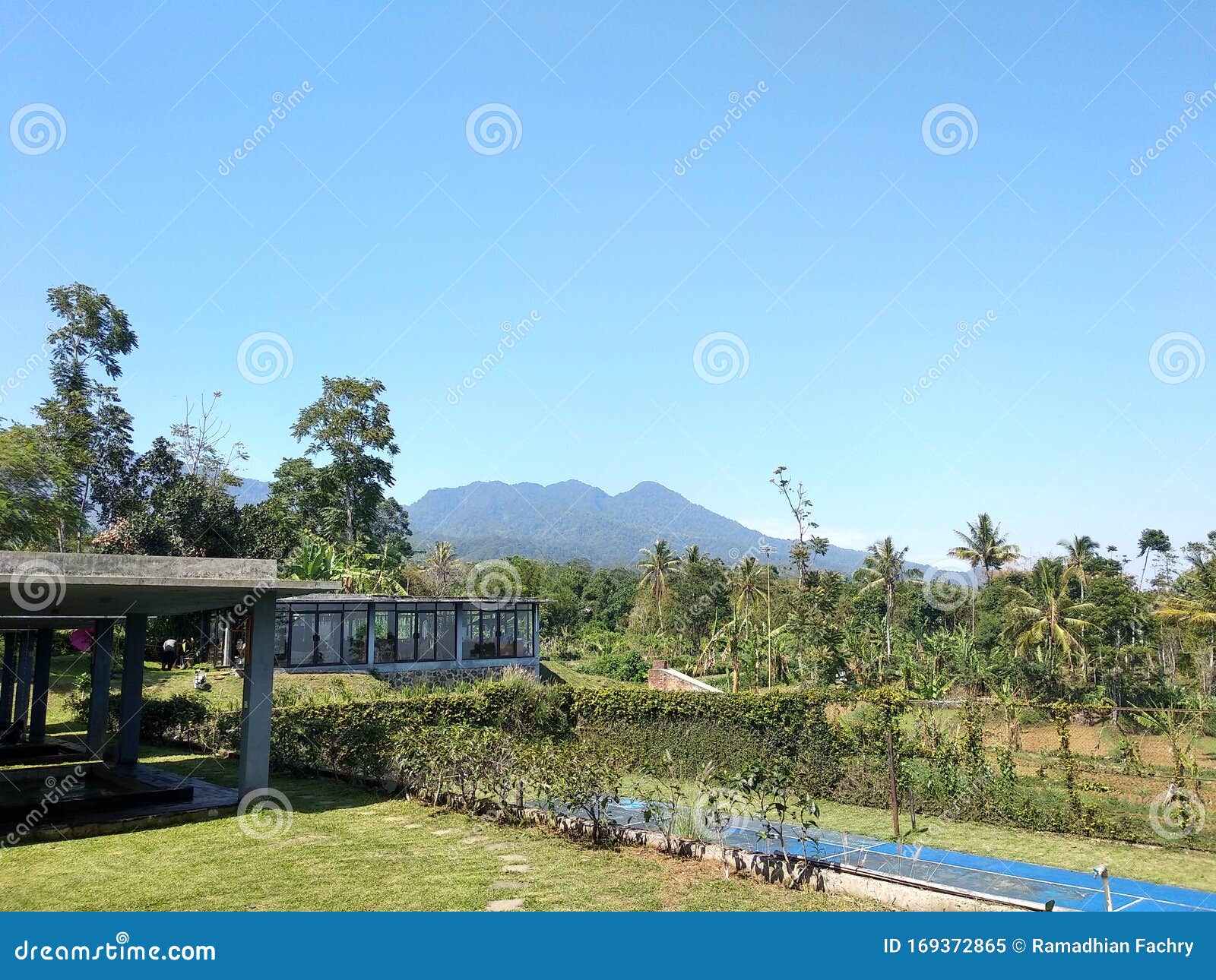 A Beautiful Green and View stock image. Image of view - 169372865