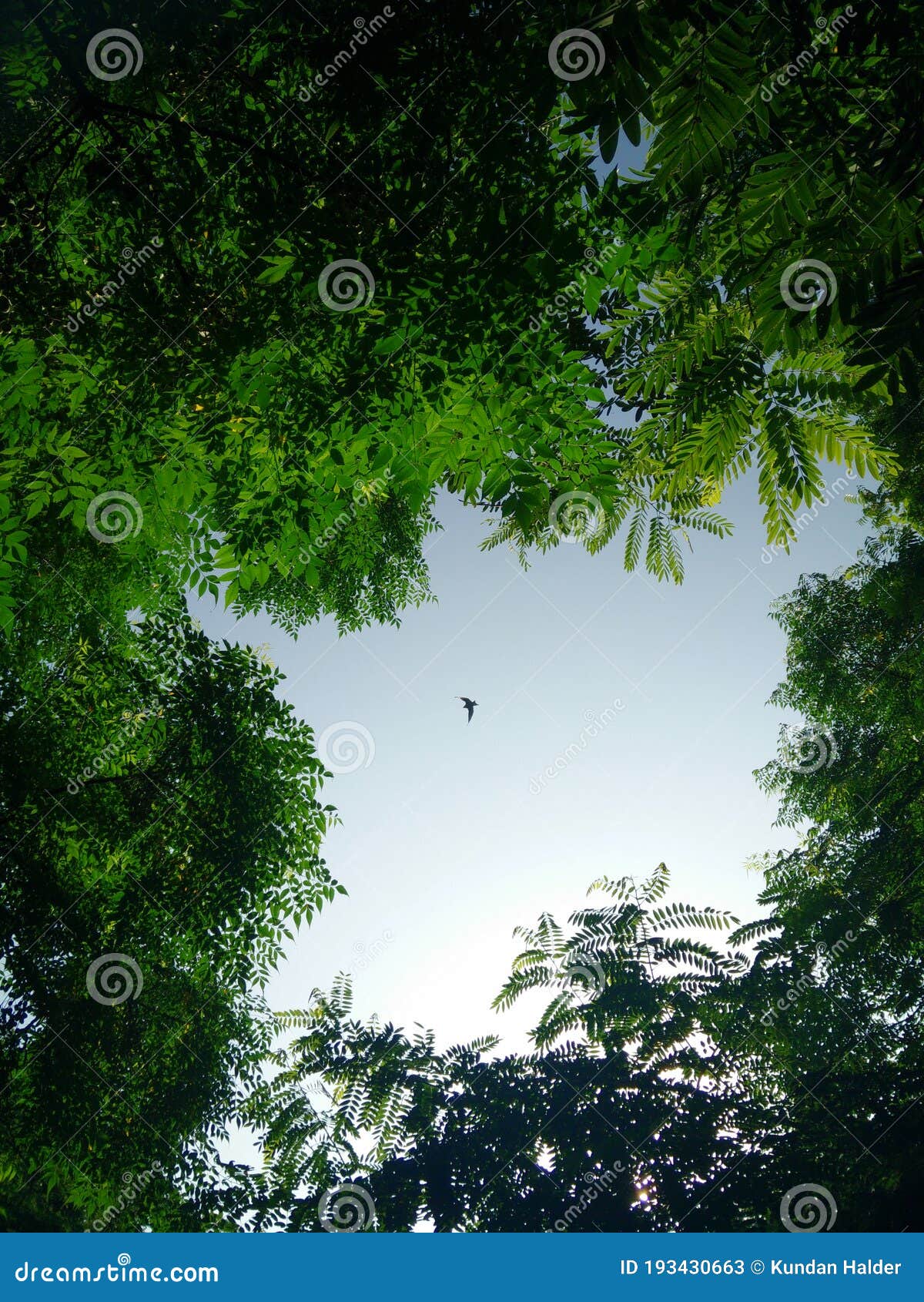 Beautiful Green View with Morning Sky Stock Image - Image of natural ...