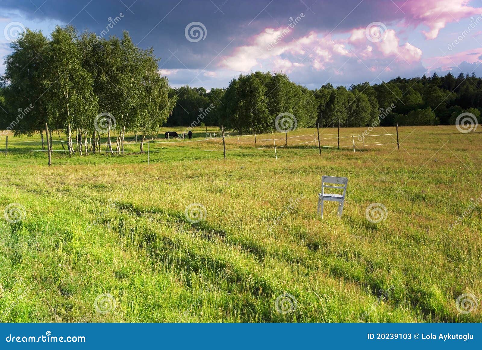 A Beautiful Green View after Rain Stock Image - Image of fileds, nature ...