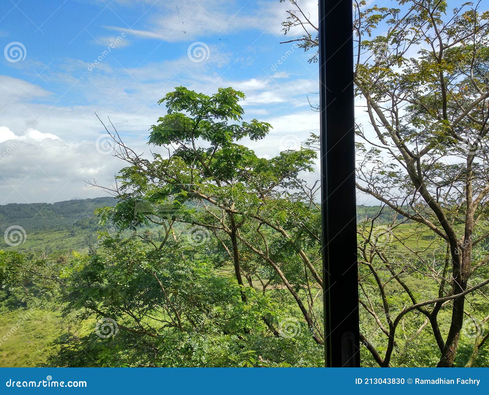 A Beautiful Green View in the Window Frame Stock Photo - Image of ...