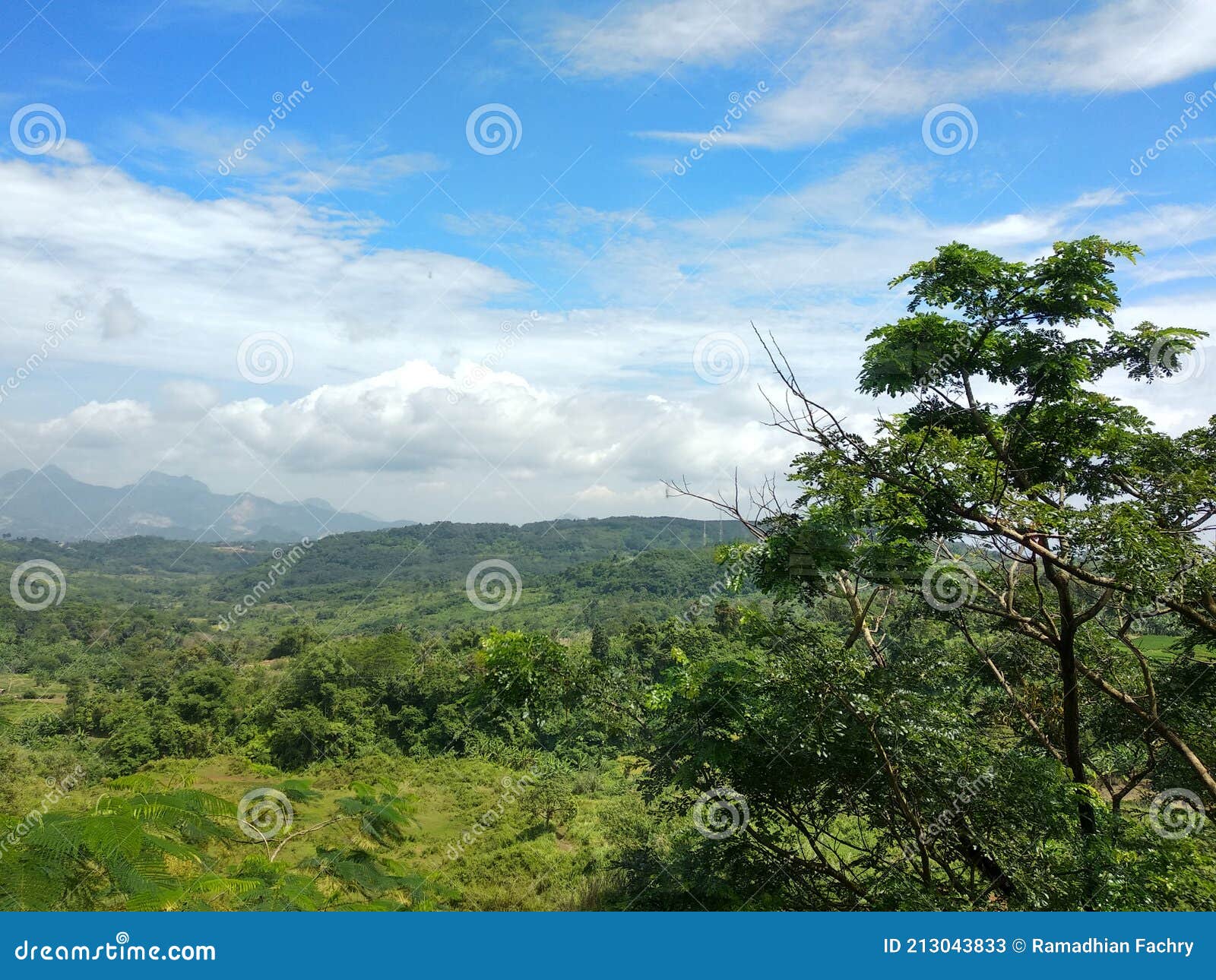 A Beautiful Green View in the Window Frame Stock Image - Image of frame ...