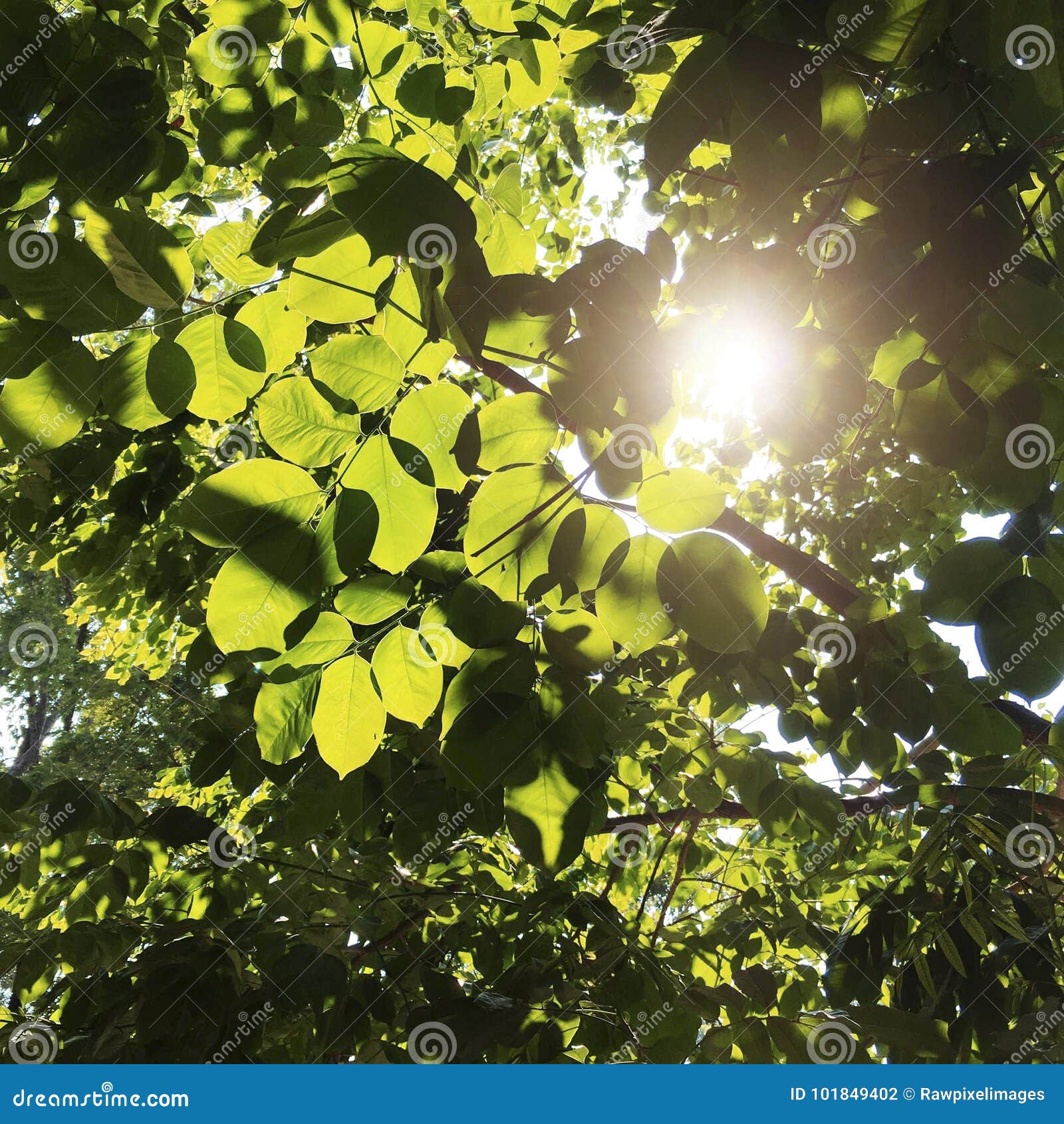 Beautiful Greenery Landscape By Mountain And Sunset Sky With Grassland ...