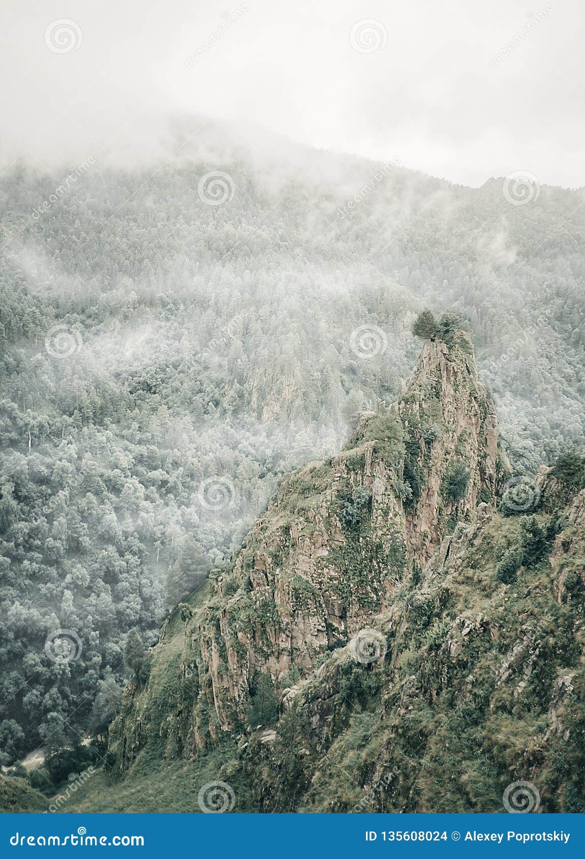 Beautiful greenery cliff. stock photo. Image of misty - 135608024