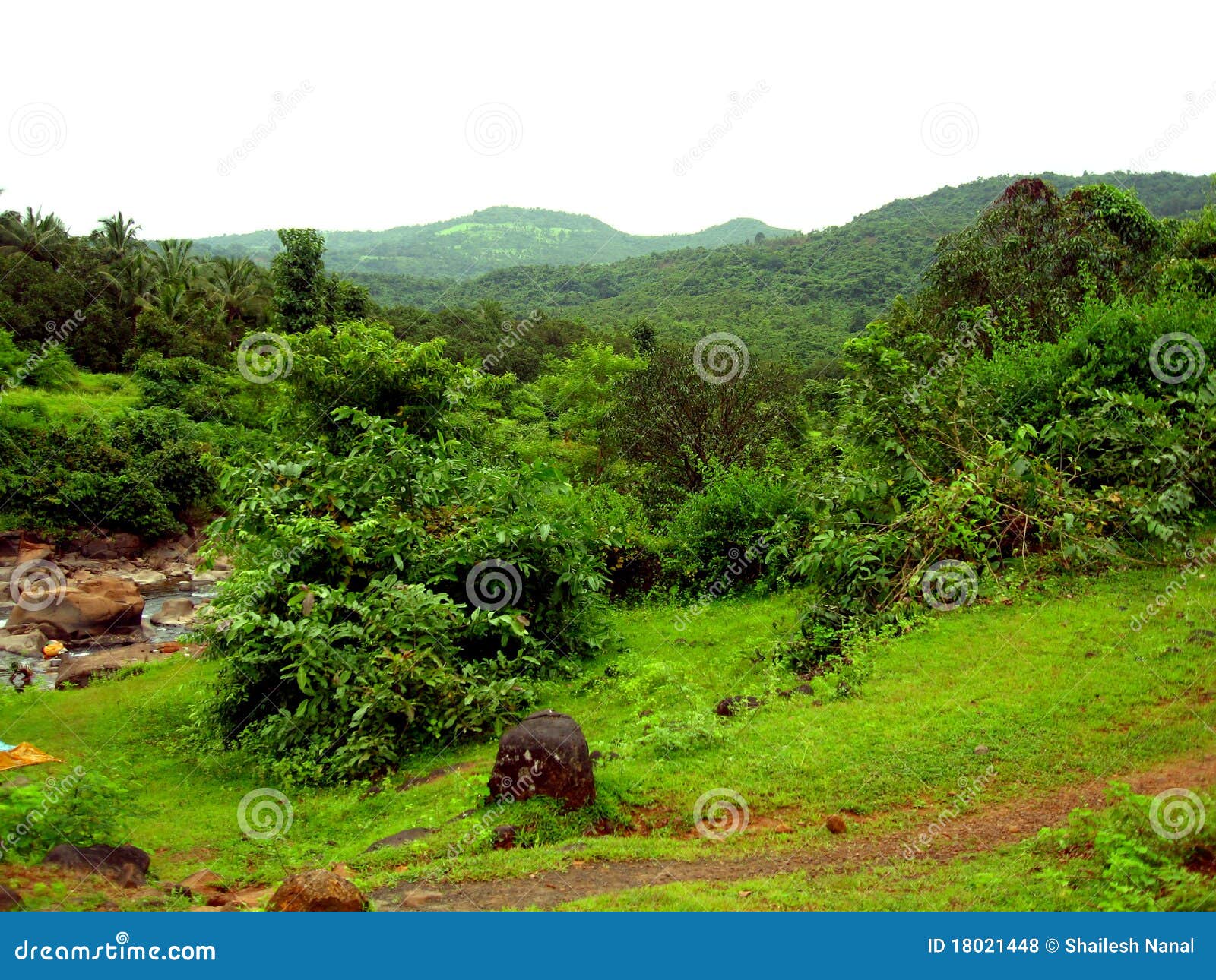 A Beautiful Greenery in a Rural India Stock Photo - Image of rocks ...