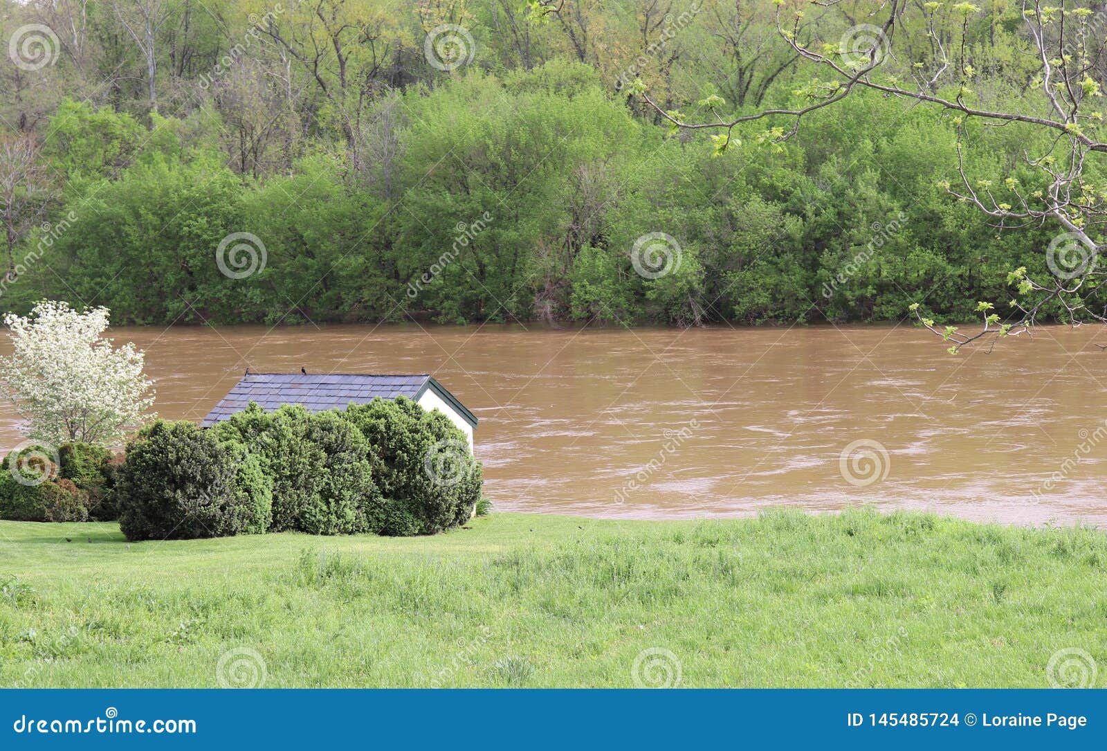 River Scene in Early Spring Stock Photo - Image of colors, spring ...