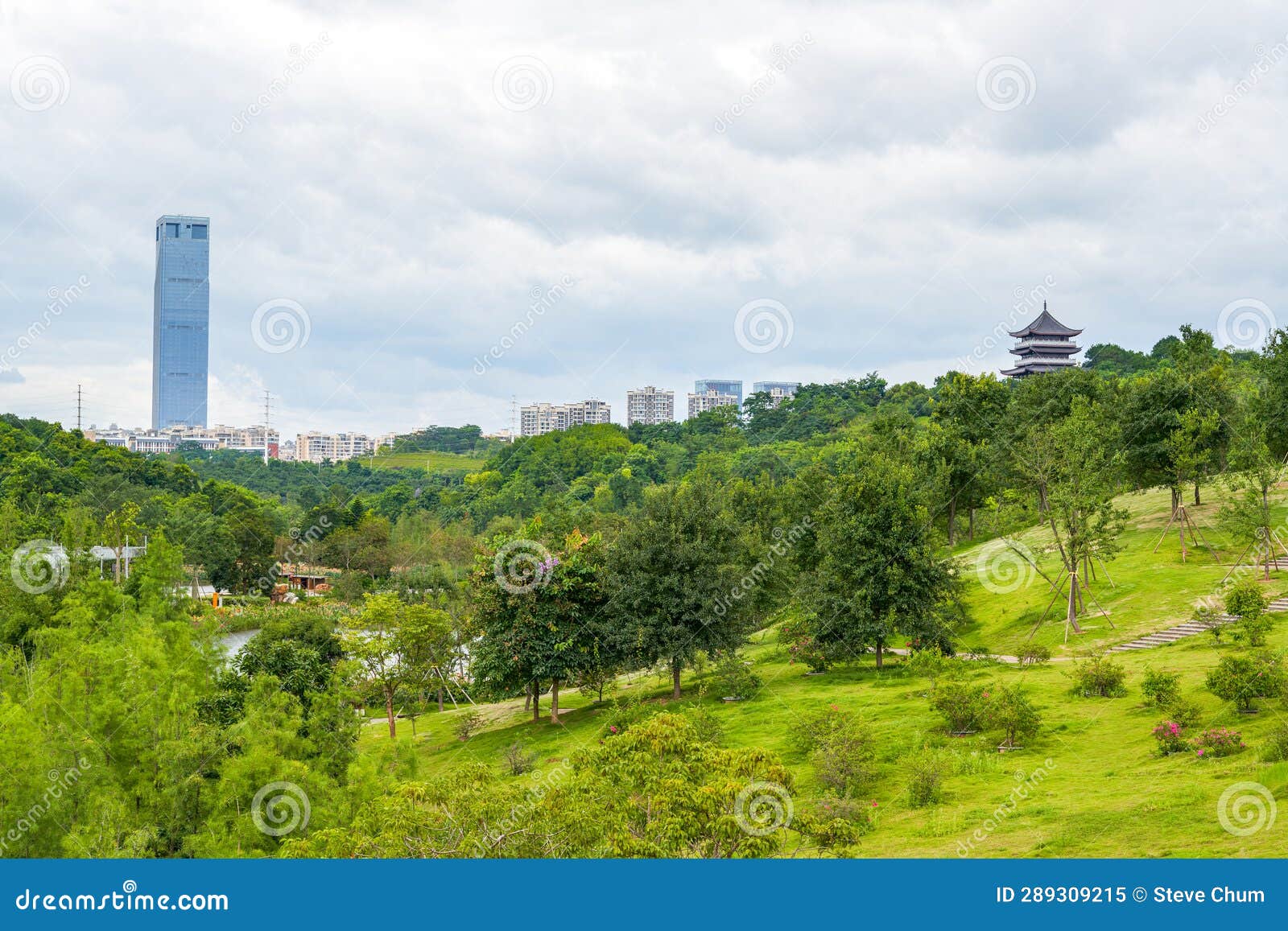 Beautiful Greenery View in the Park Stock Image - Image of season ...