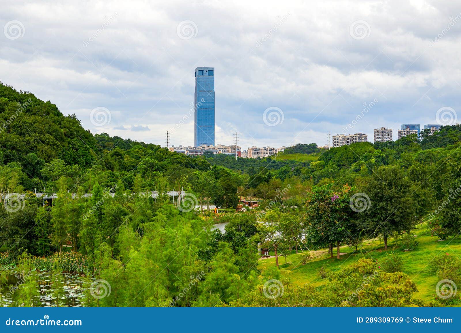 Beautiful Greenery View in the Park Stock Image - Image of skyline ...