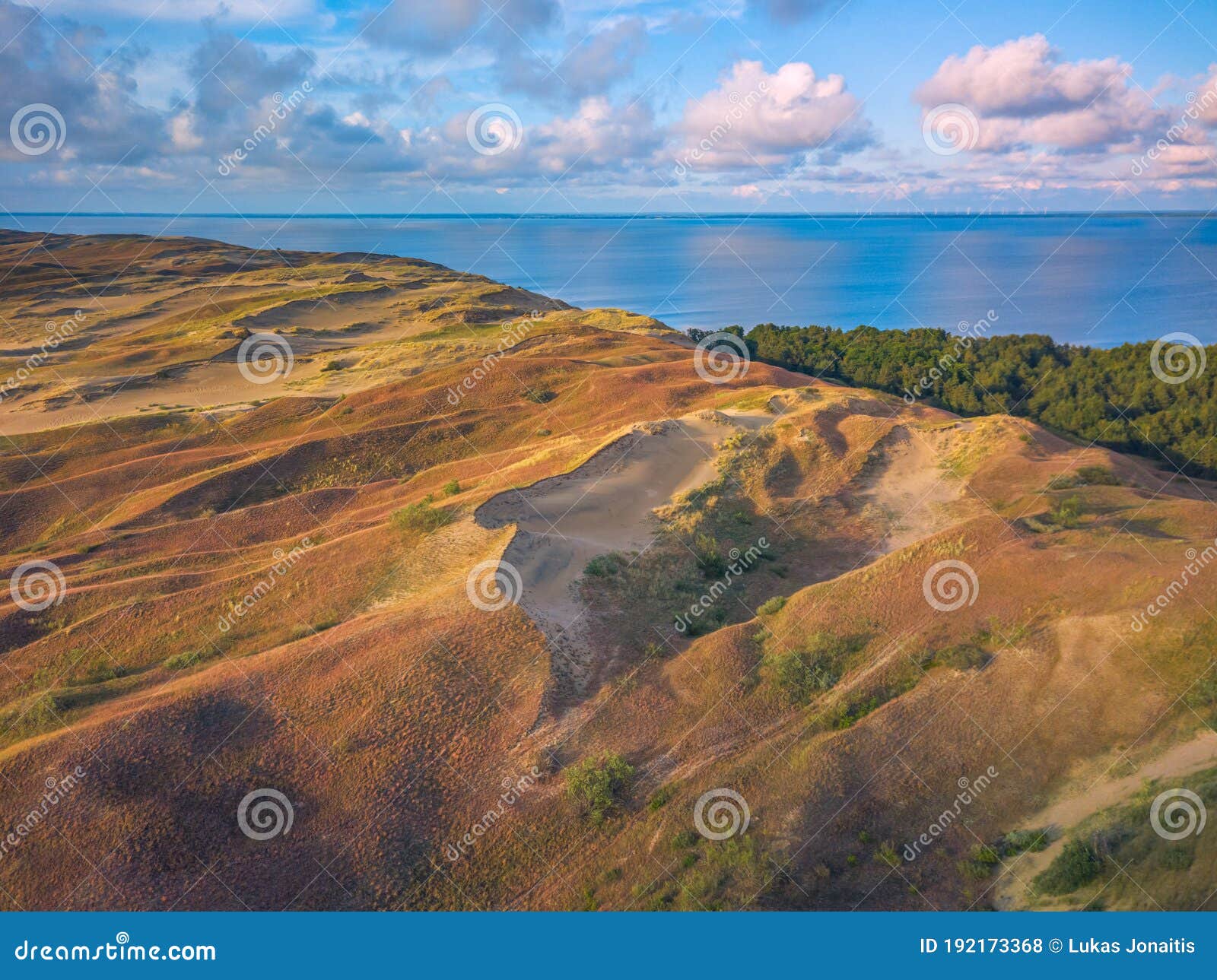 Beautiful Grey Dunes, Dead Dunes at the Curonian Spit in Nida, Neringa ...