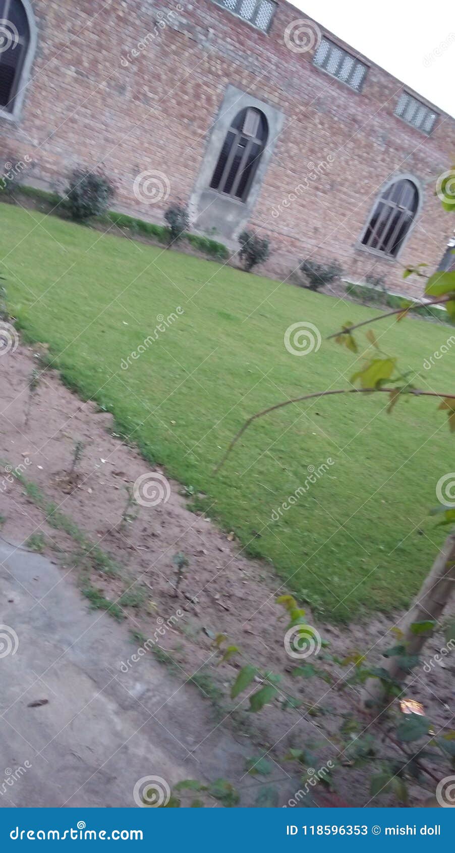 Beautiful ground stock image. Image of ground, beautiful - 118596353
