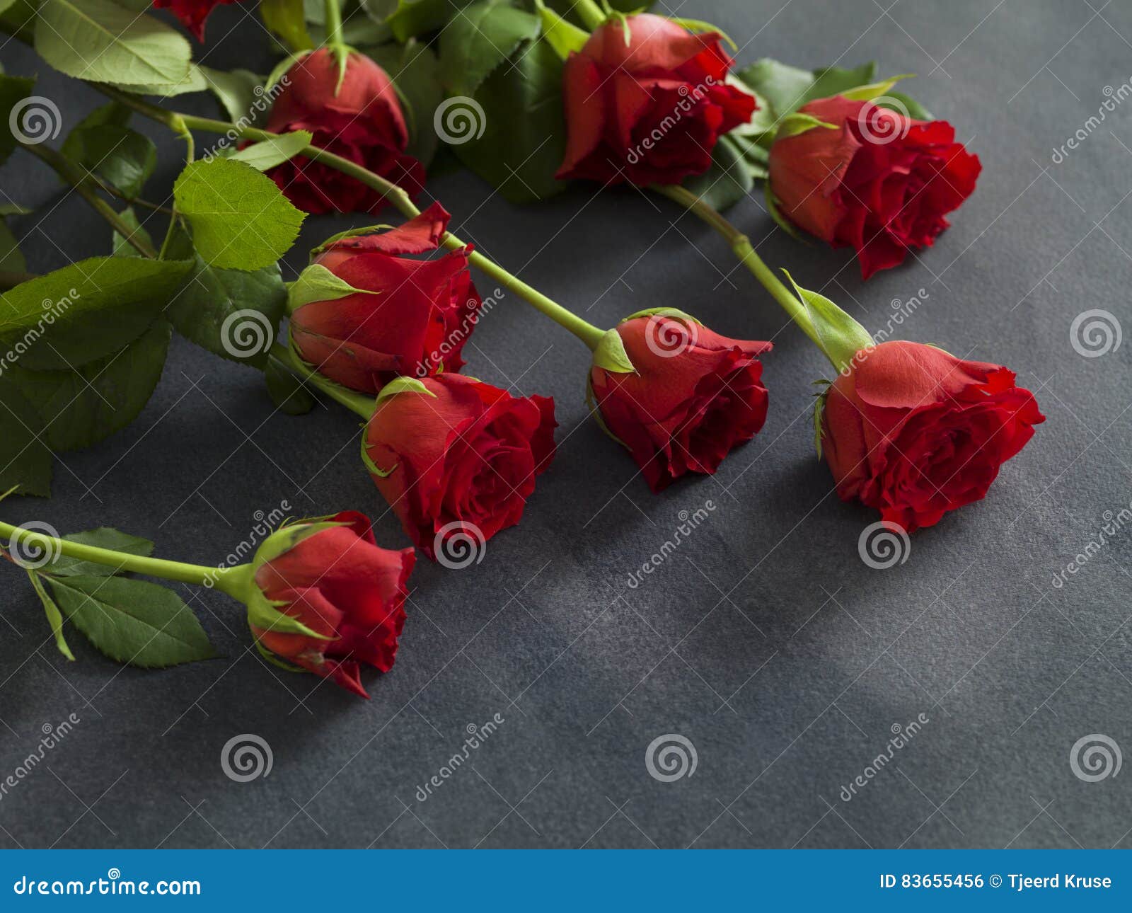 Beautiful Group of Roses on a Grey Background Stock Photo - Image of ...