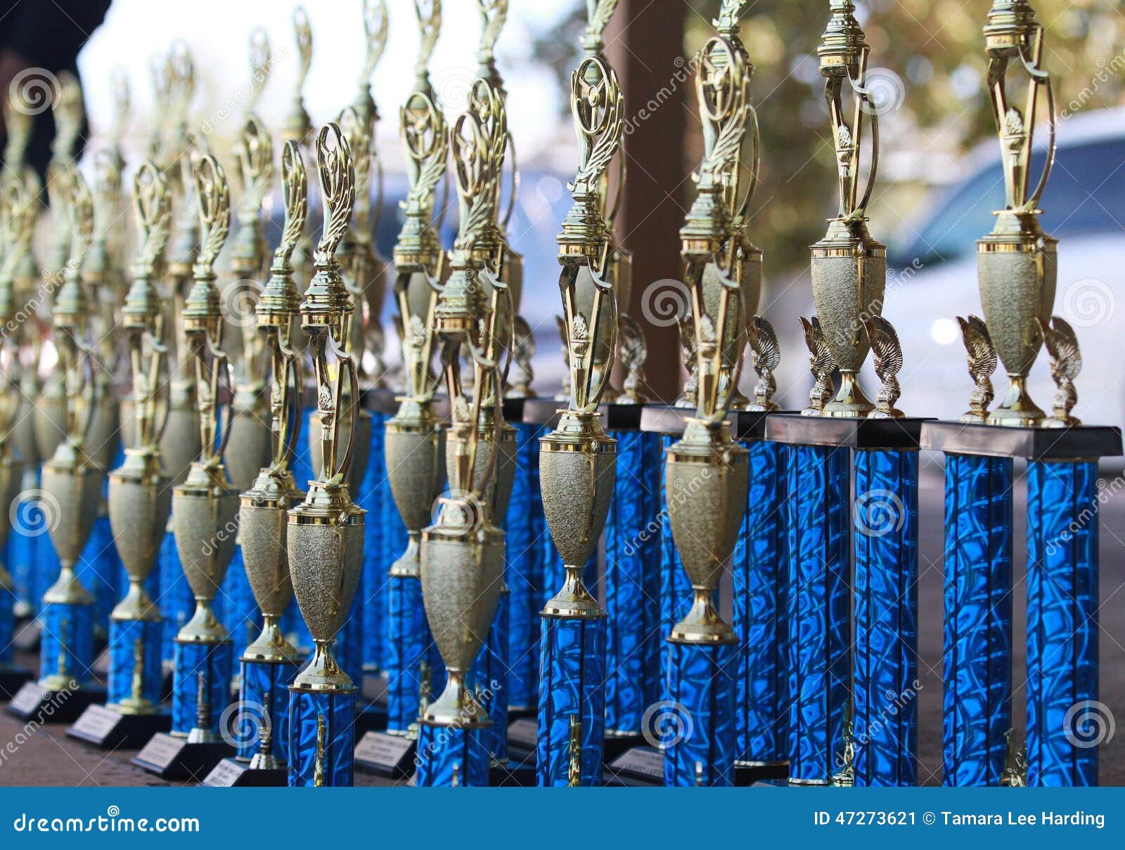 Beautiful Group of Trophies Stock Image - Image of competition, blue ...