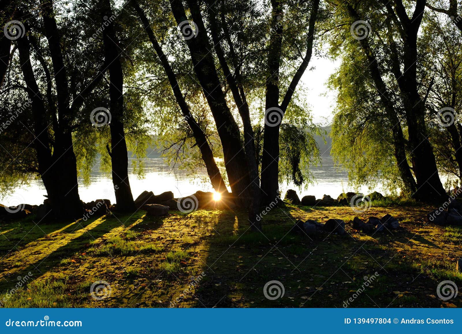 Beautiful Grove at Danube River Shore with Sunbeam Reflection Stock ...