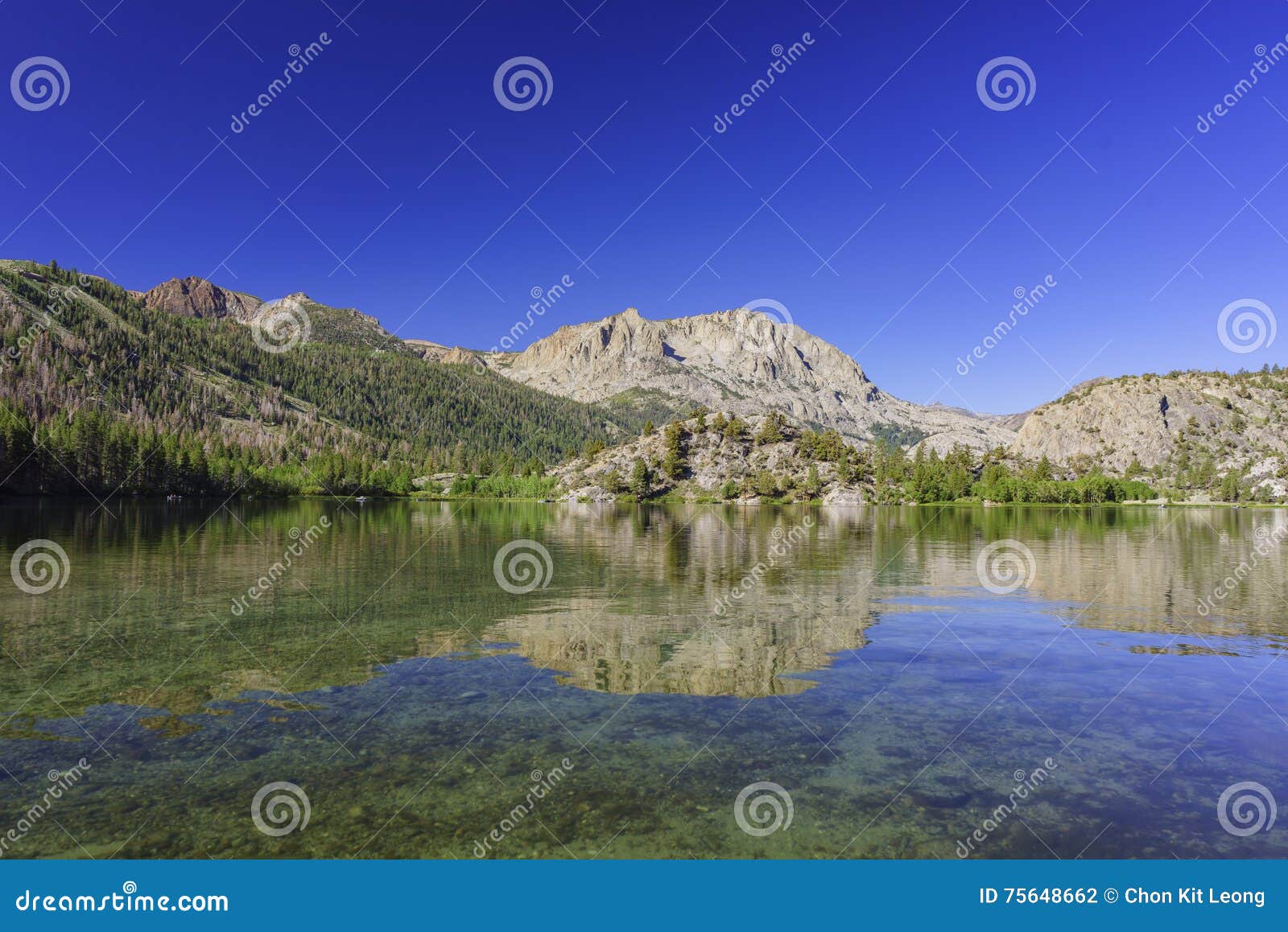 The beautiful Gull Lake stock photo. Image of gull, outdoor - 75648662