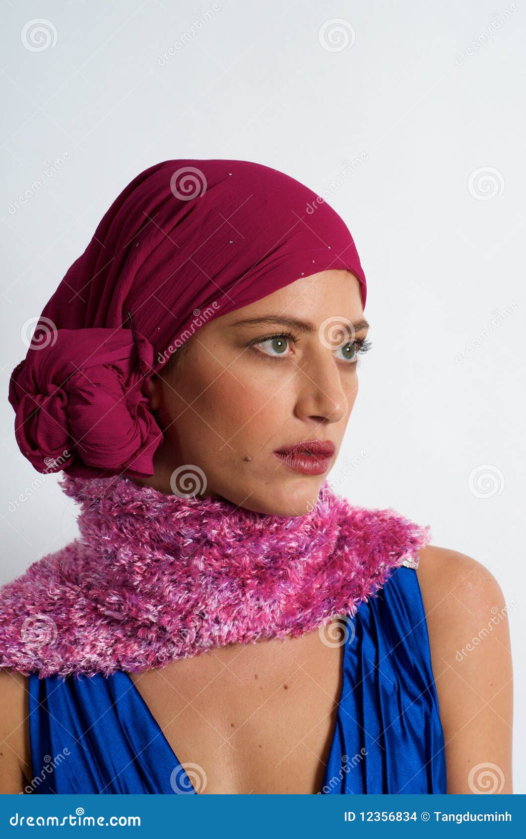 Beautiful Gypsy Model stock photo. Image of pink, posing - 12356834