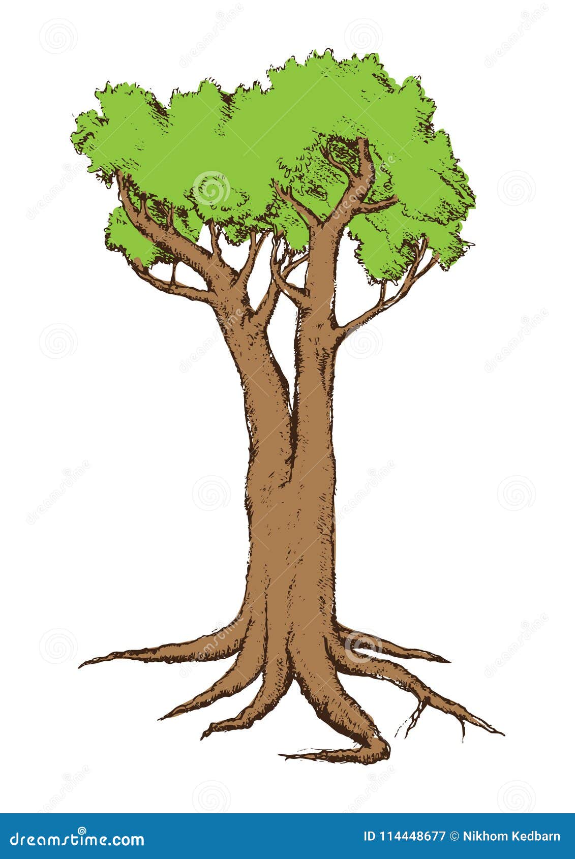 Beautiful Tree Vector on a White Background. Stock Vector ...