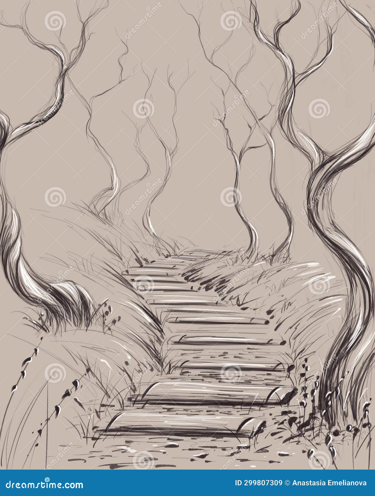 Hand Drawn Illustration of Steps in a Forest Stock Illustration ...
