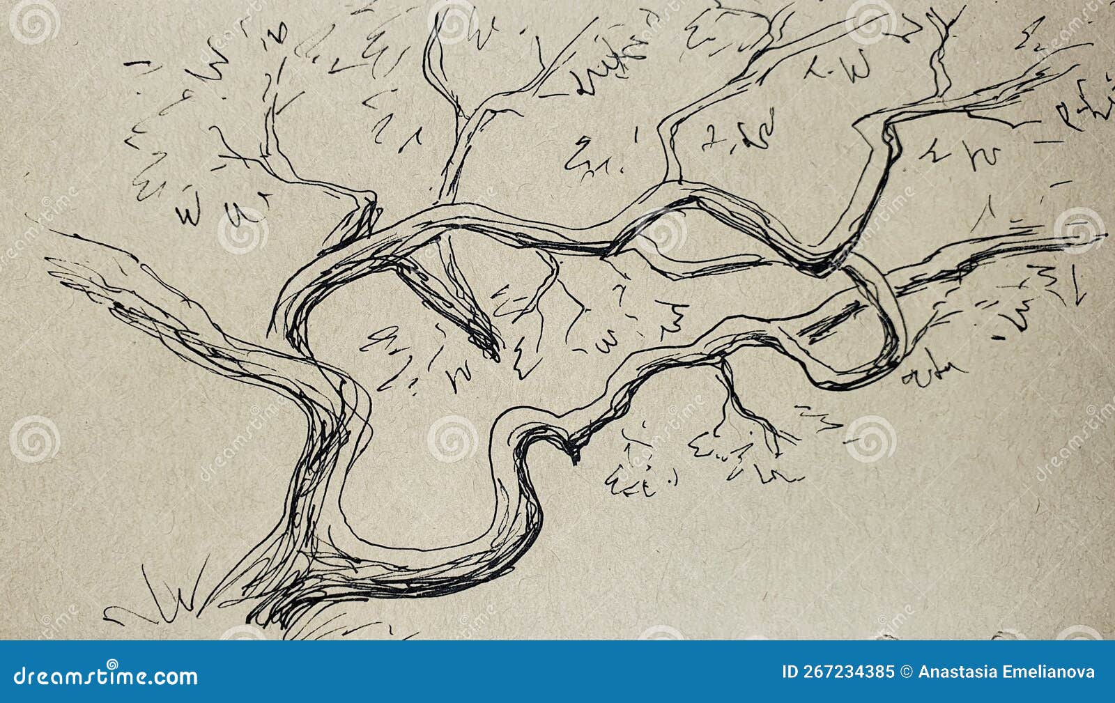 Ink drawing of a tree stock illustration. Illustration of sketch ...