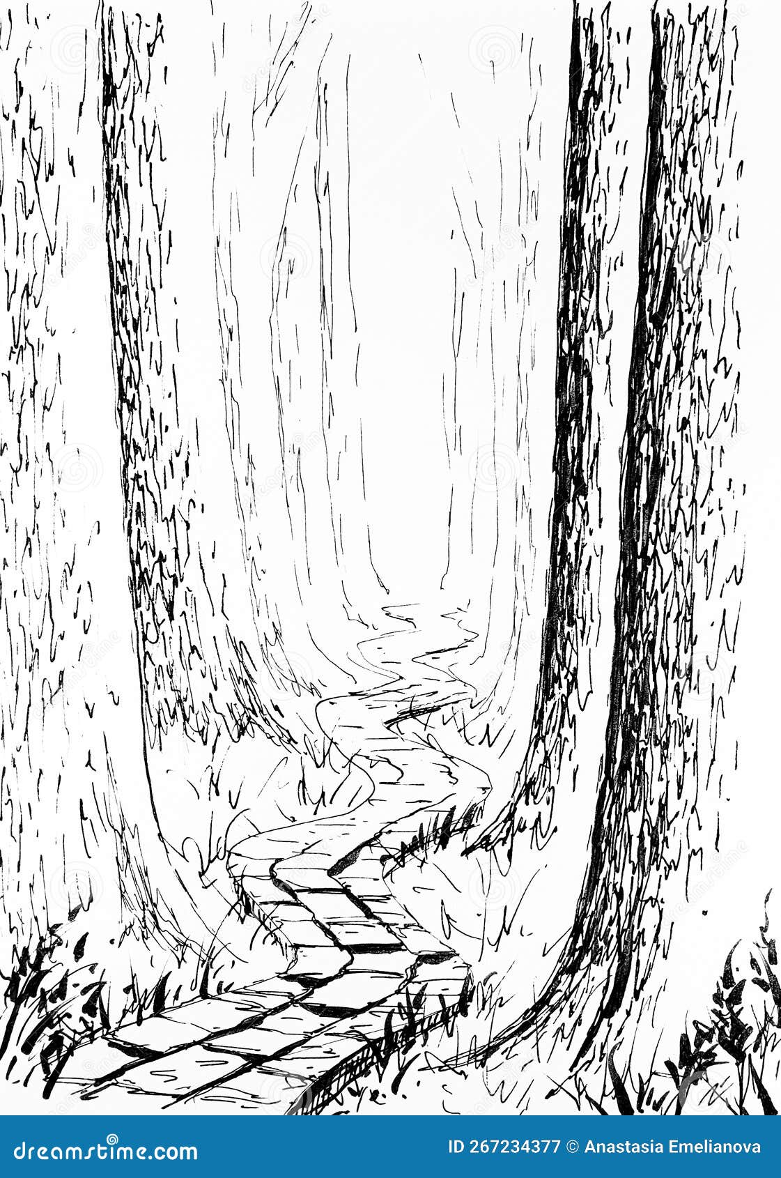 Background with the Forest Road Stock Illustration - Illustration of ...