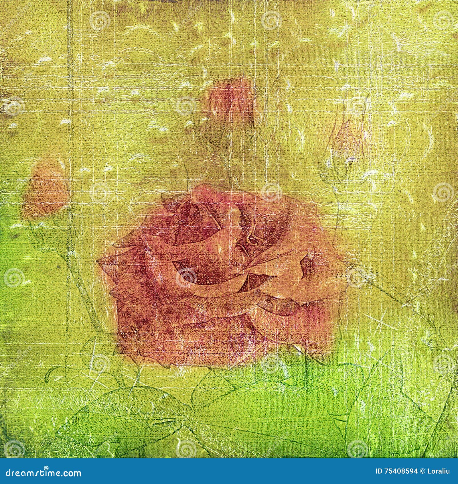 Beautiful Hand Drawn Rose on the Cement Wall. Stock Photo - Image of ...