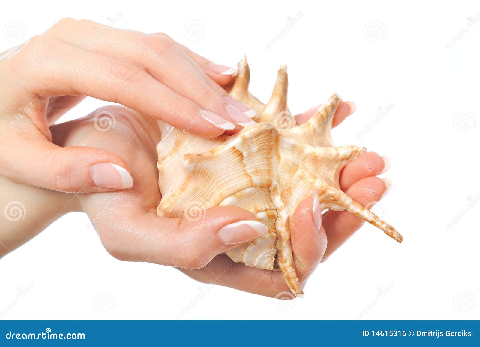 833 Shell Manicure Stock Photos - Free & Royalty-Free Stock Photos from ...