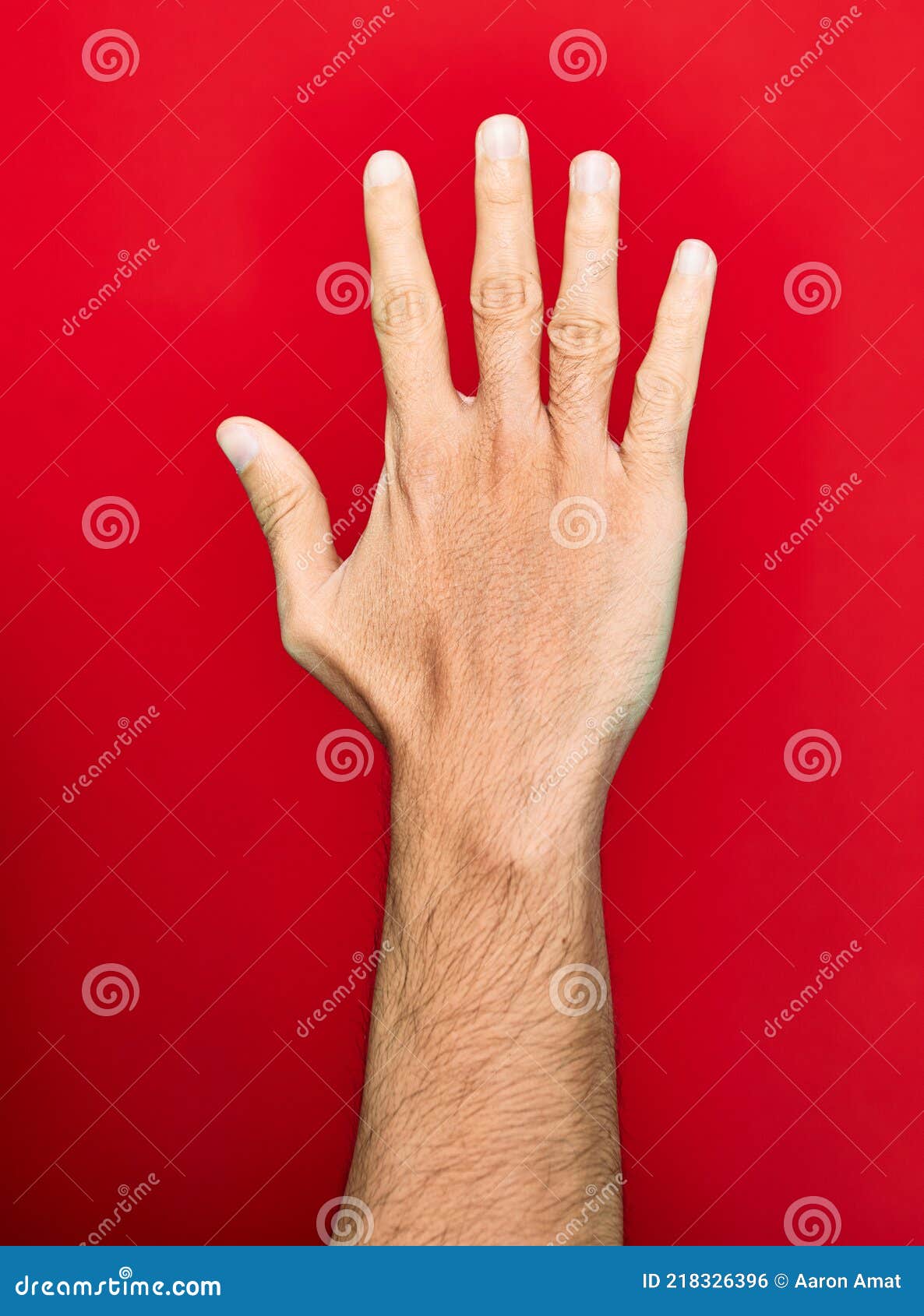 Beautiful Hand of Man Showing Five Fingers Up Stock Photo - Image of ...