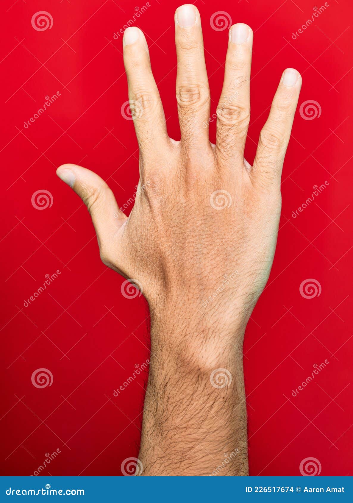 Attractive Male Hands