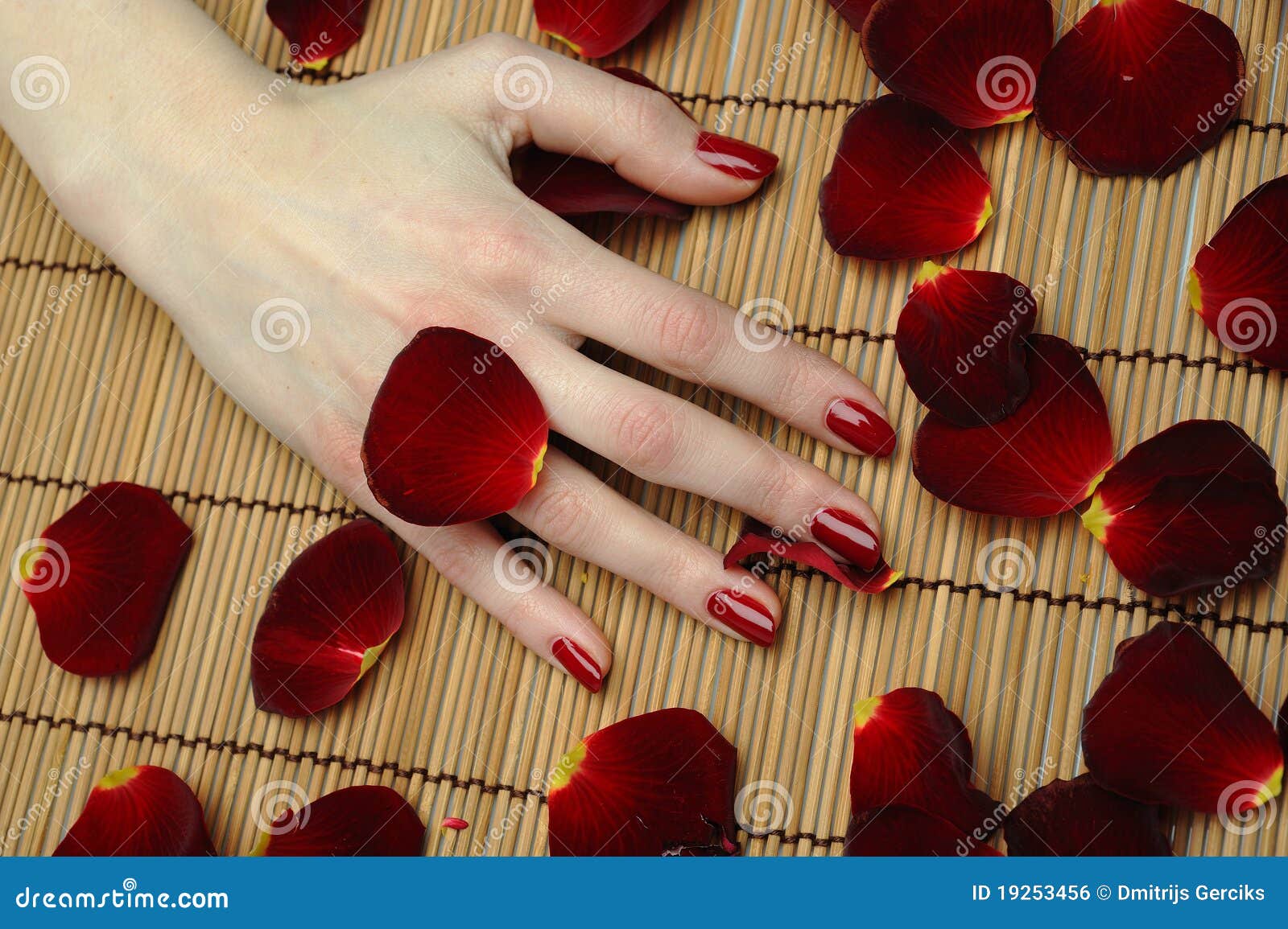 Beautiful Hand with Nail Red Manicure Stock Photo - Image of exotic ...