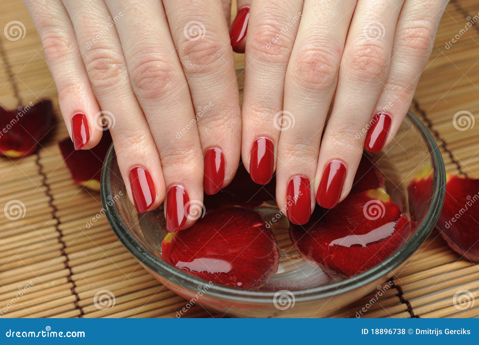 Beautiful Hand with Nail Red Manicure and Petals Stock Photo - Image of ...
