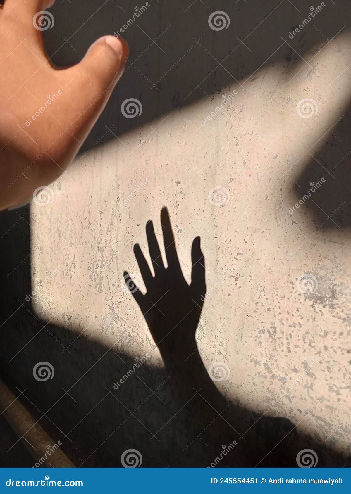 Beautiful Hand Shadow on the Illuminated Wall Stock Image - Image of ...