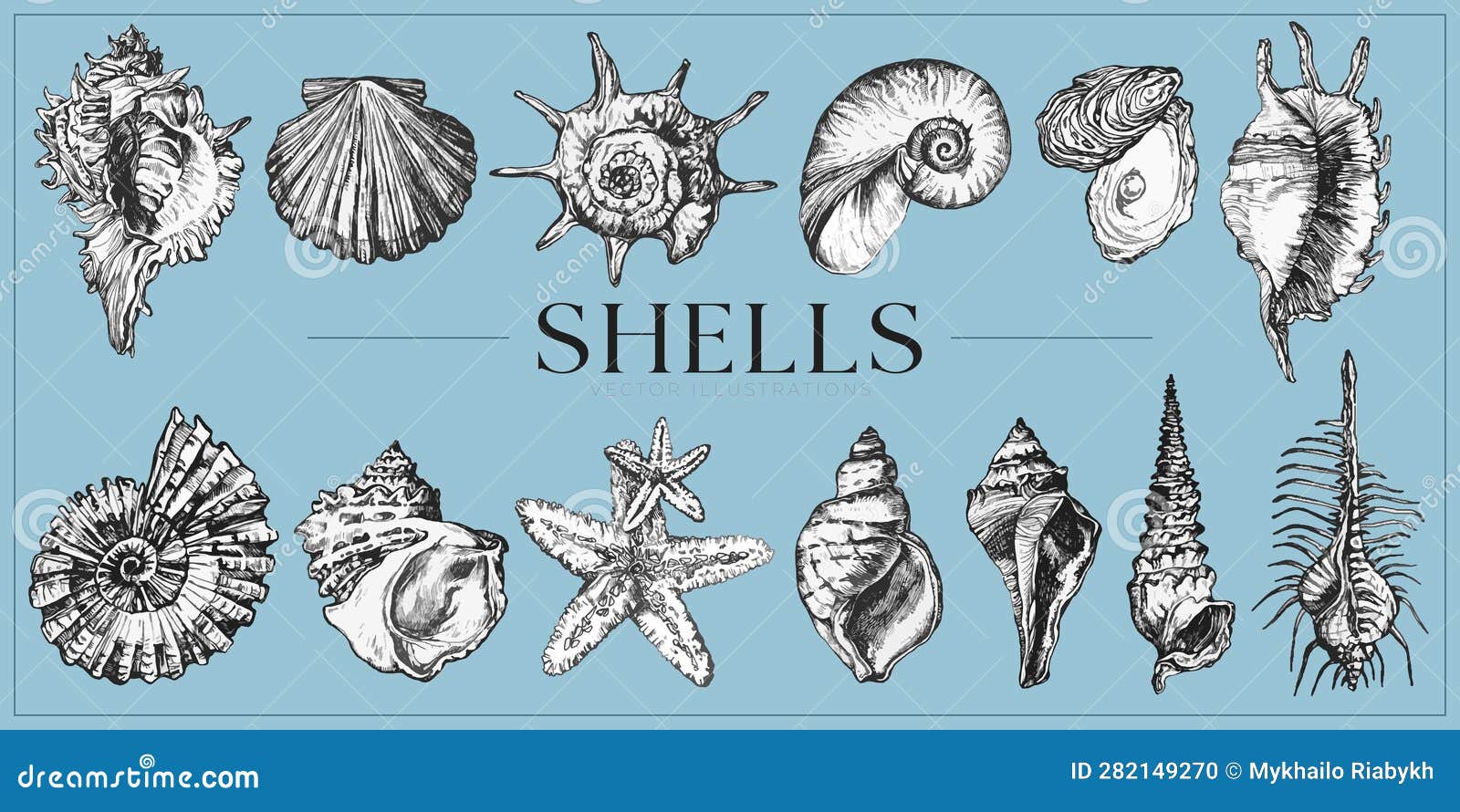 Handdrawn Shells Illustrations, Shells Drawing, Sea Elements, Ocean ...