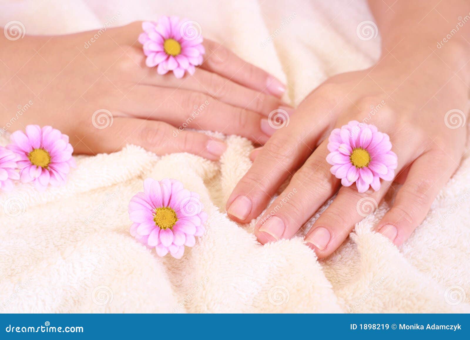Beautiful hands stock image. Image of flowers, toenail - 1898219