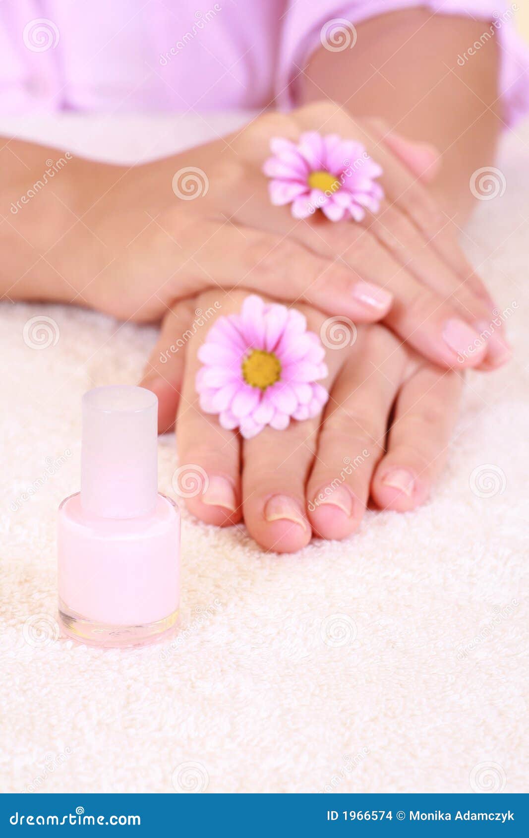 Beautiful hands stock photo. Image of fingernail, beauty - 1966574