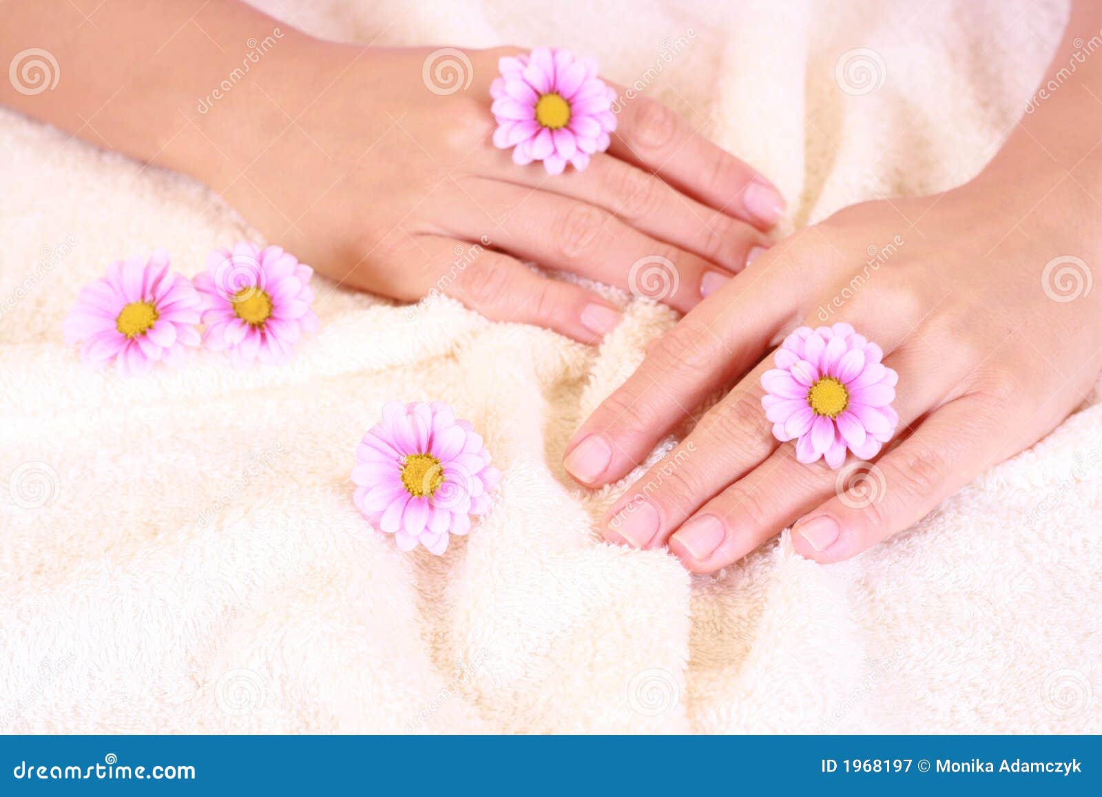 Beautiful hands stock image. Image of polish, girl, glamour - 1968197