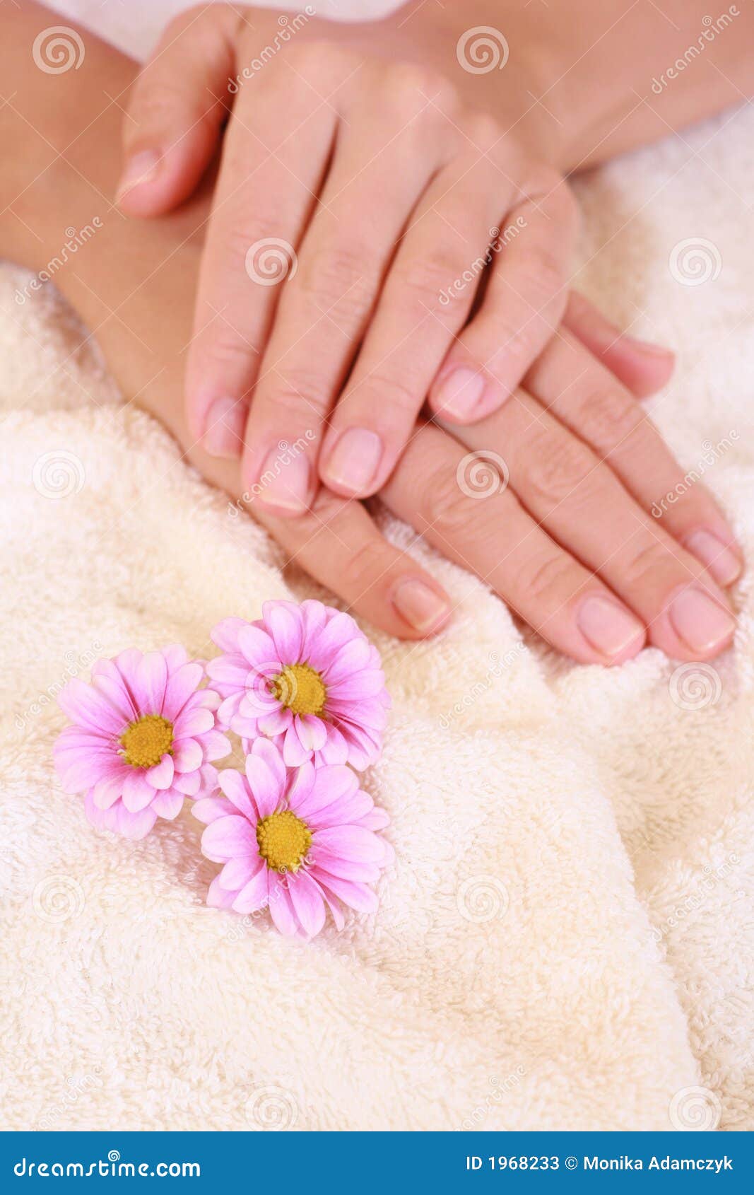 Beautiful hands stock image. Image of lifestyle, leisure - 1968233