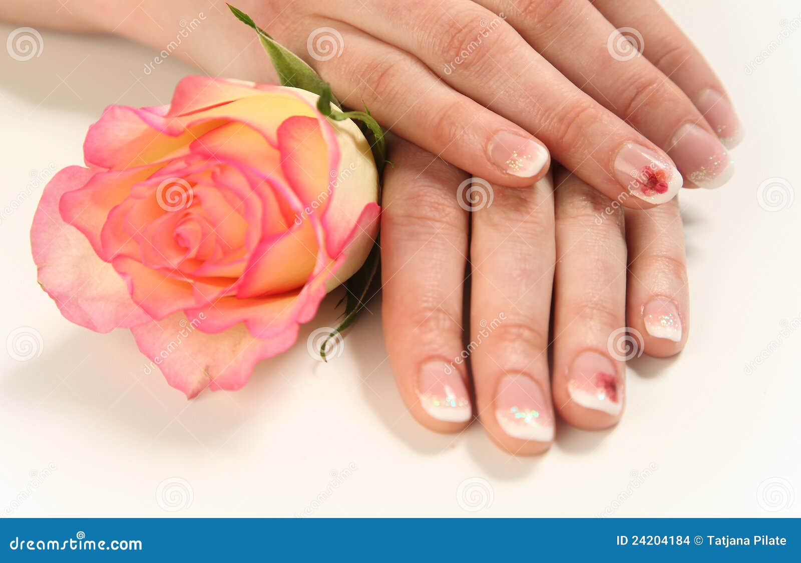 Beautiful hands stock photo. Image of beauty, pink, manicure - 24204184