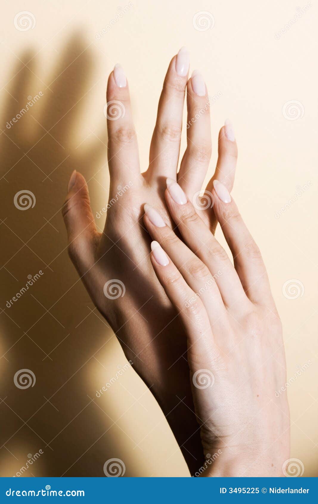 Beautiful hands stock image. Image of woman, refreshment - 3495225